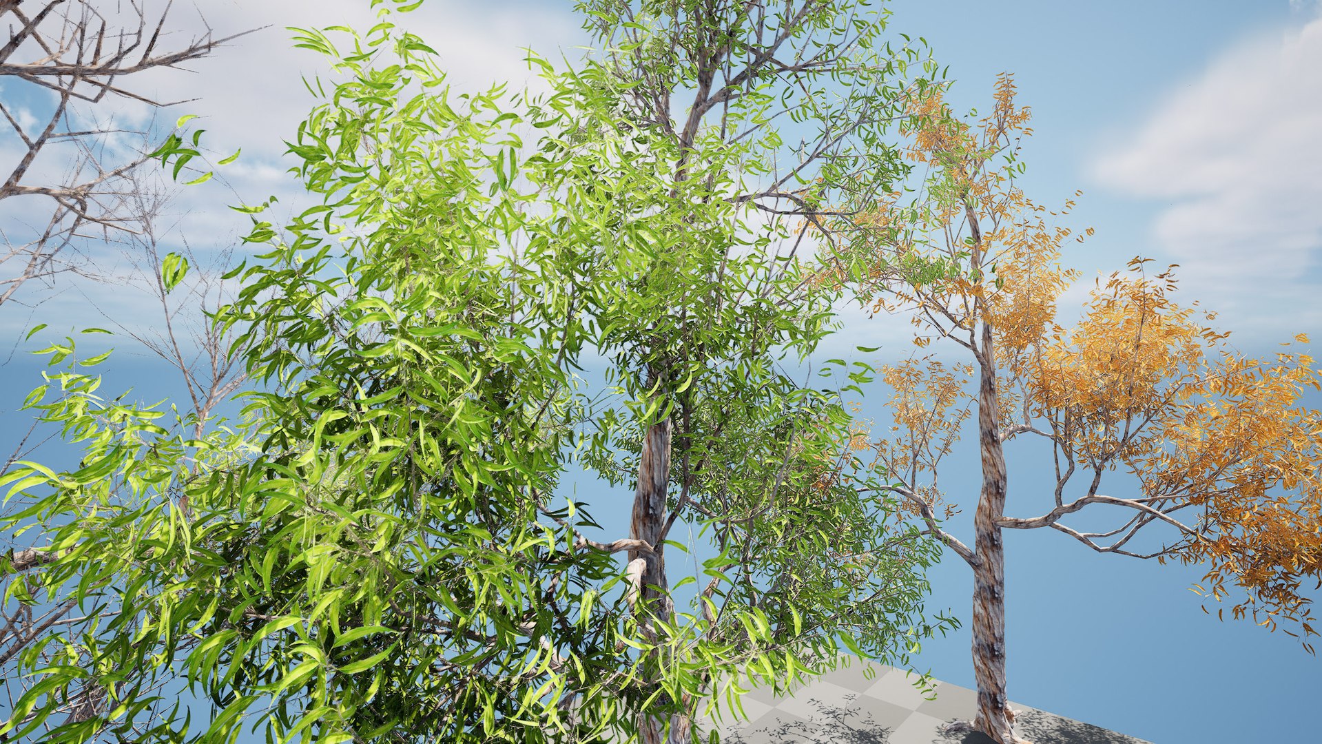 Free 3D Model Gum Tree 3D Models With Green Summer Fall And Leafless ...