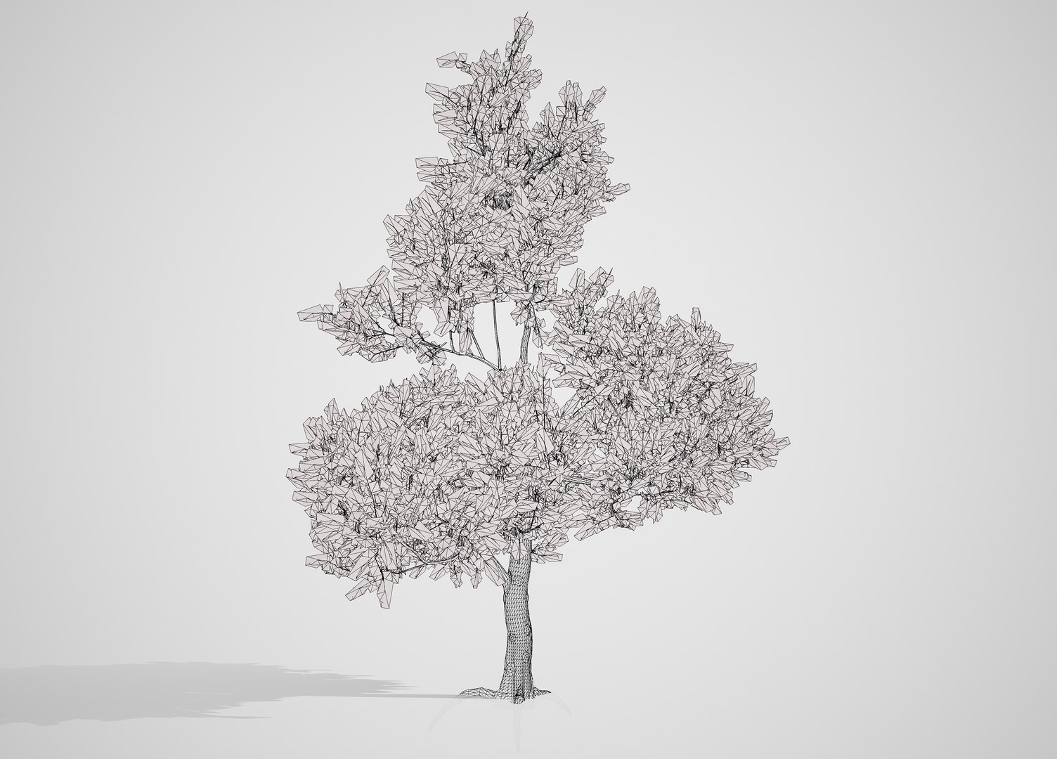 Free 3D Model Gum Tree 3D Models With Green Summer Fall And Leafless ...