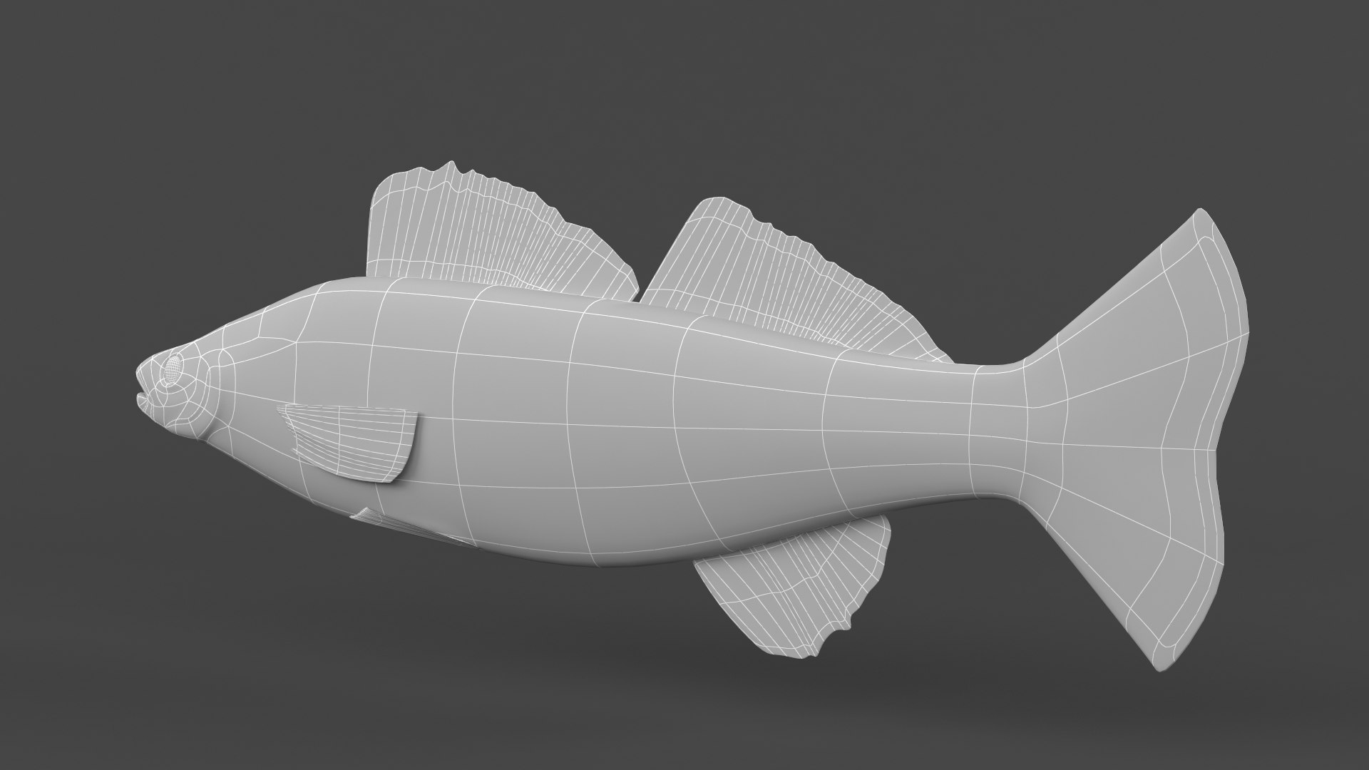 3D Fish Zander Model - TurboSquid 2126821