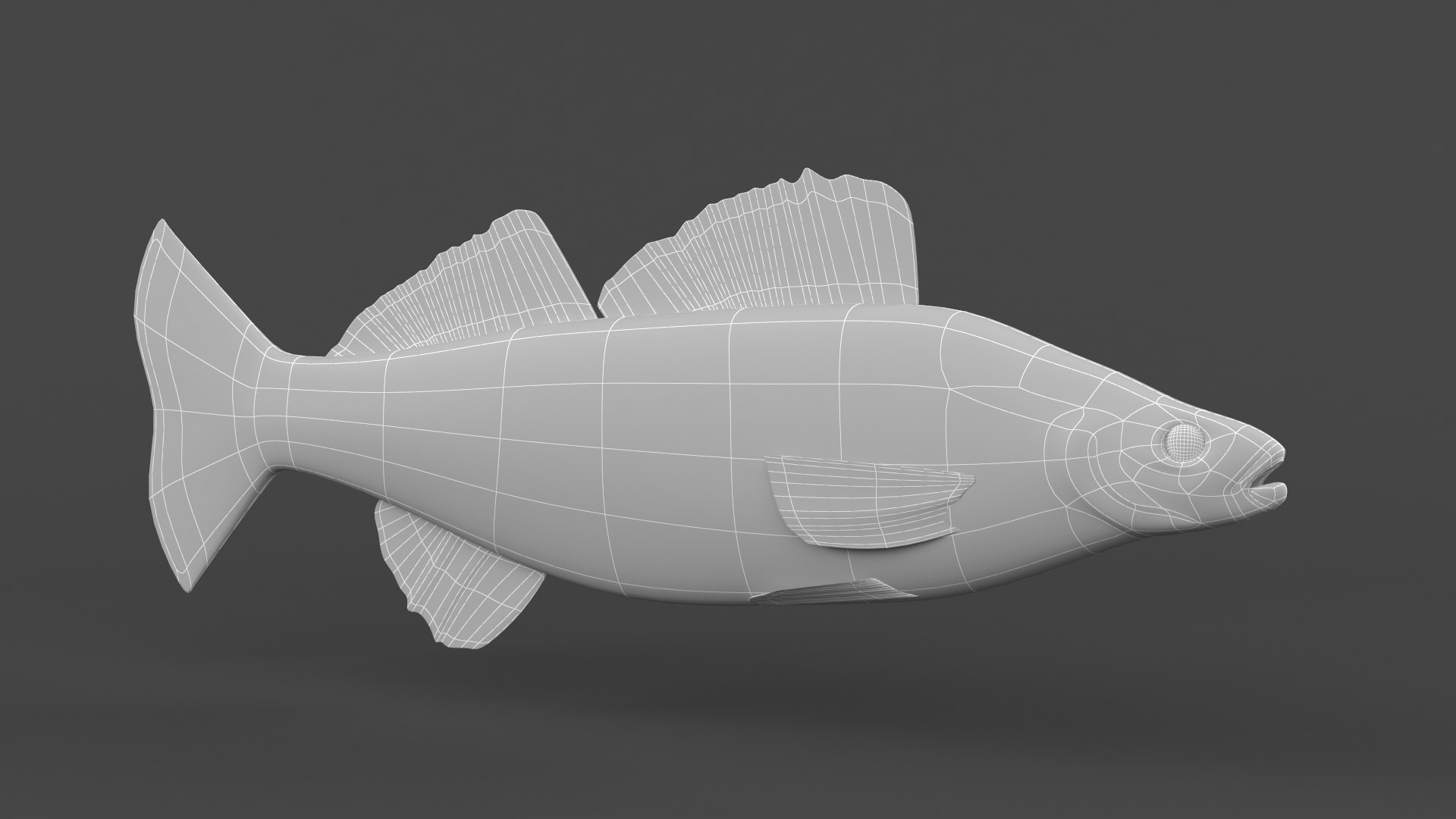 3D Fish Zander Model - TurboSquid 2126821
