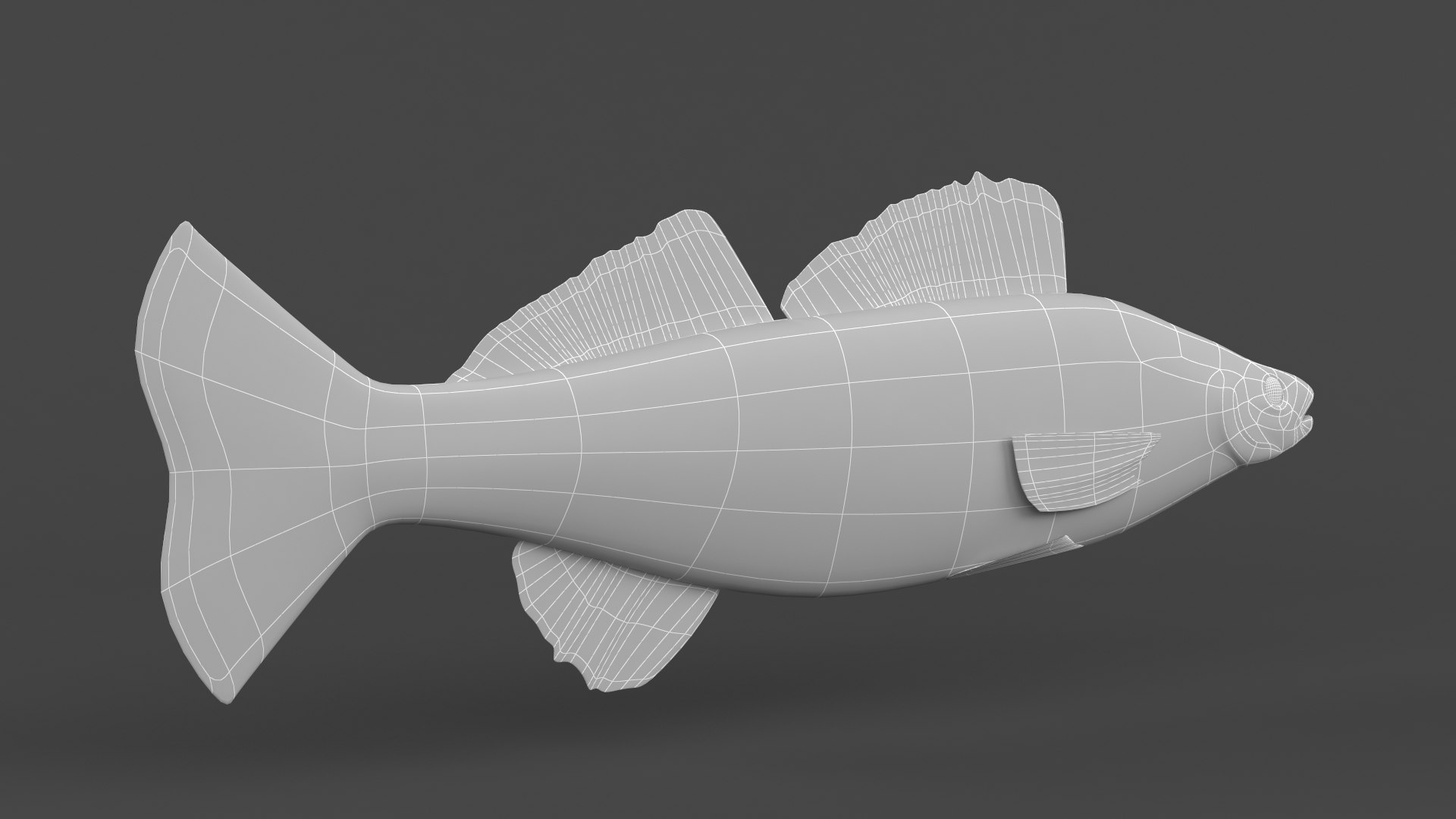 3D Fish Zander Model - TurboSquid 2126821