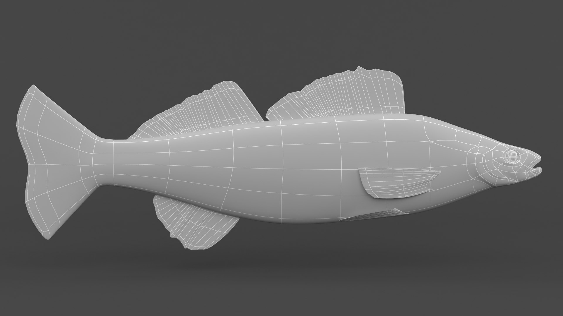3D Fish Zander Model - TurboSquid 2126821