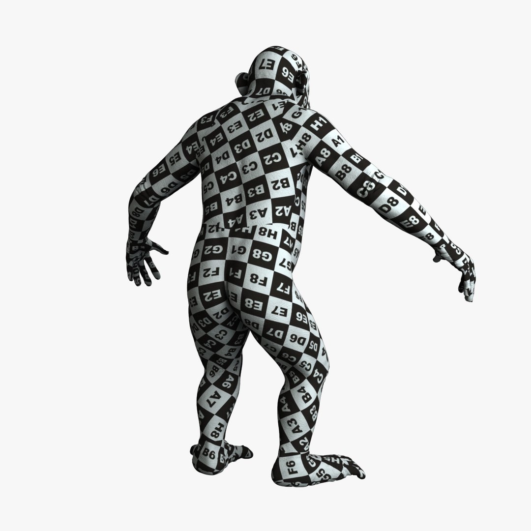 Chimpanzee Chimp 3d Model