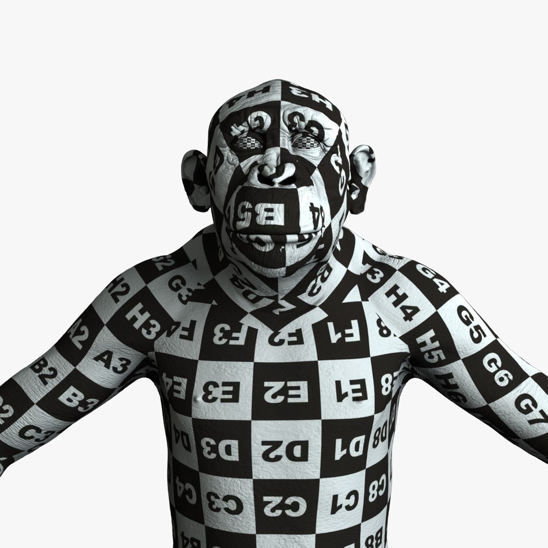 Chimpanzee Chimp 3d Model