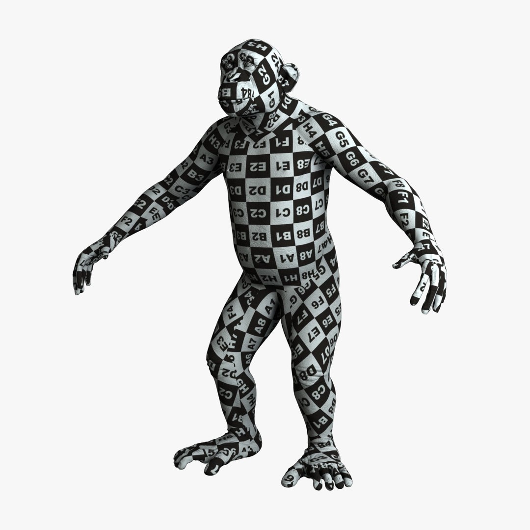Chimpanzee Chimp 3d Model