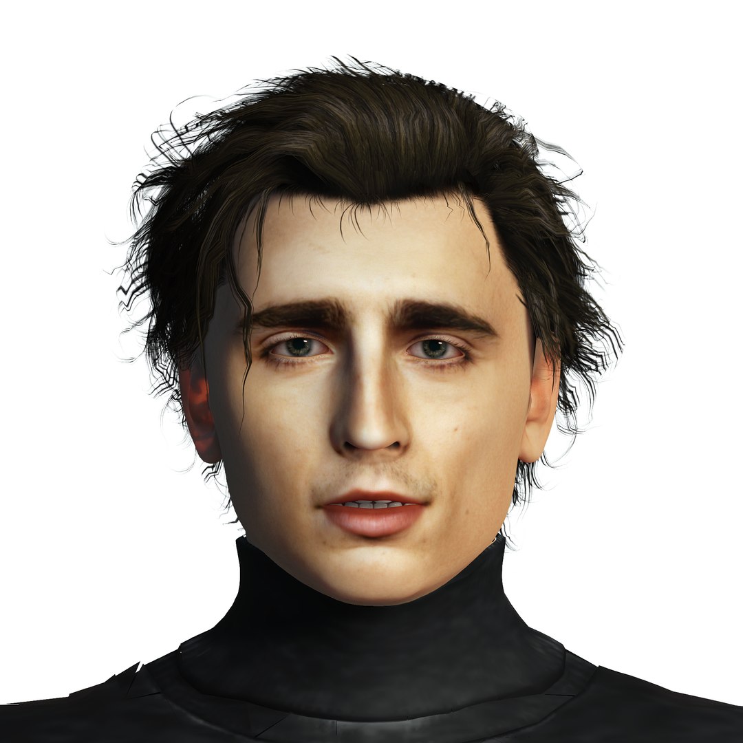 Timothee Chalamet 3D Rigged Model Ready For Animation Model ...