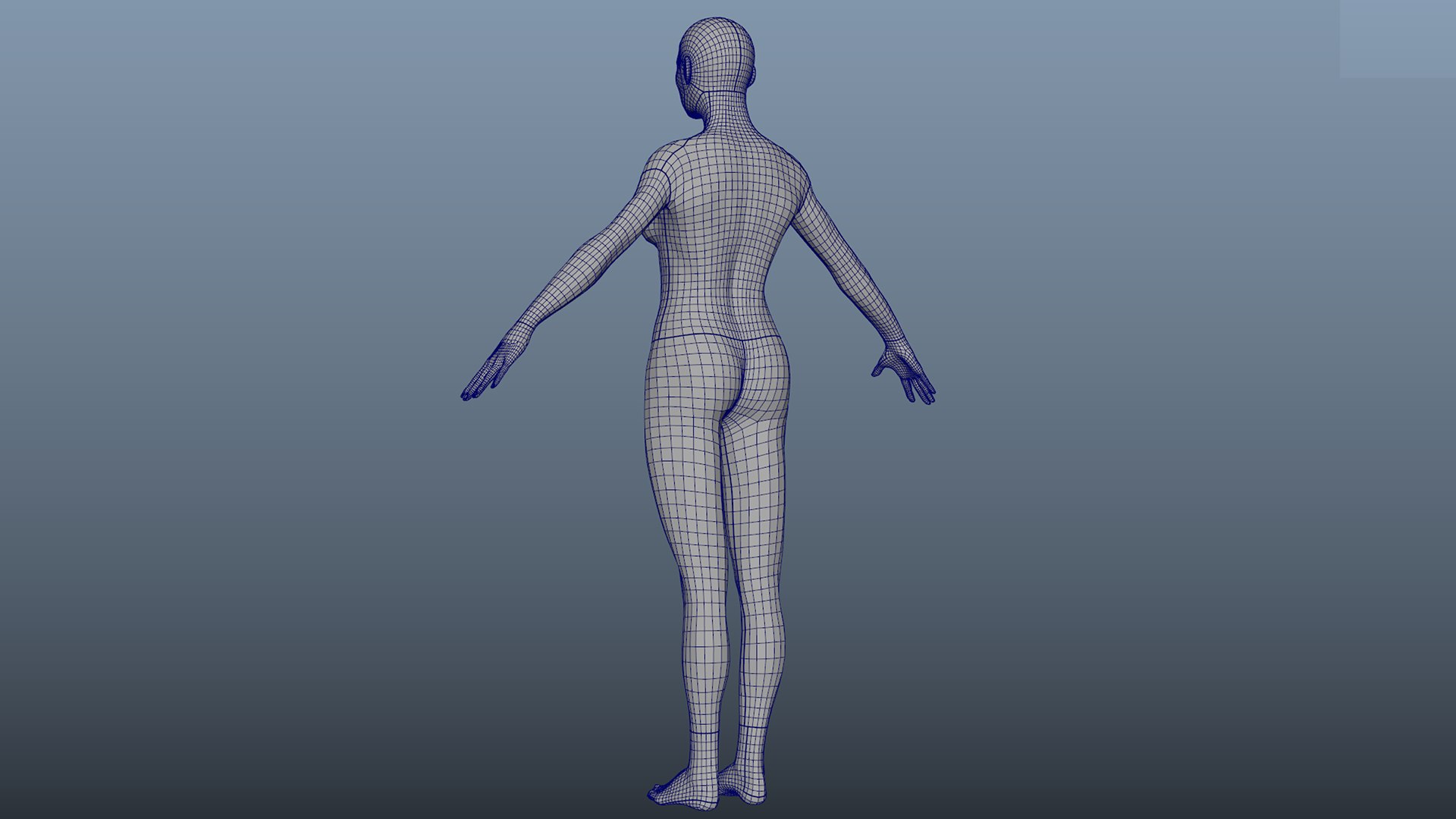 Female character rig head face 3D model - TurboSquid 1584031