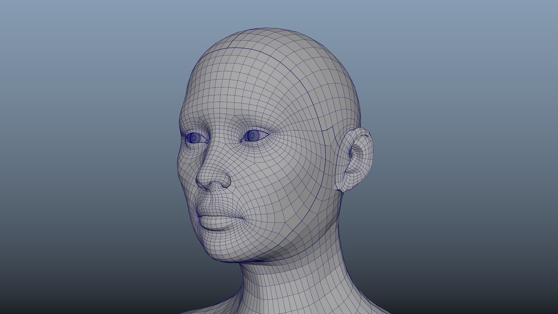 Female Character Rig Head Face 3D Model - TurboSquid 1584031