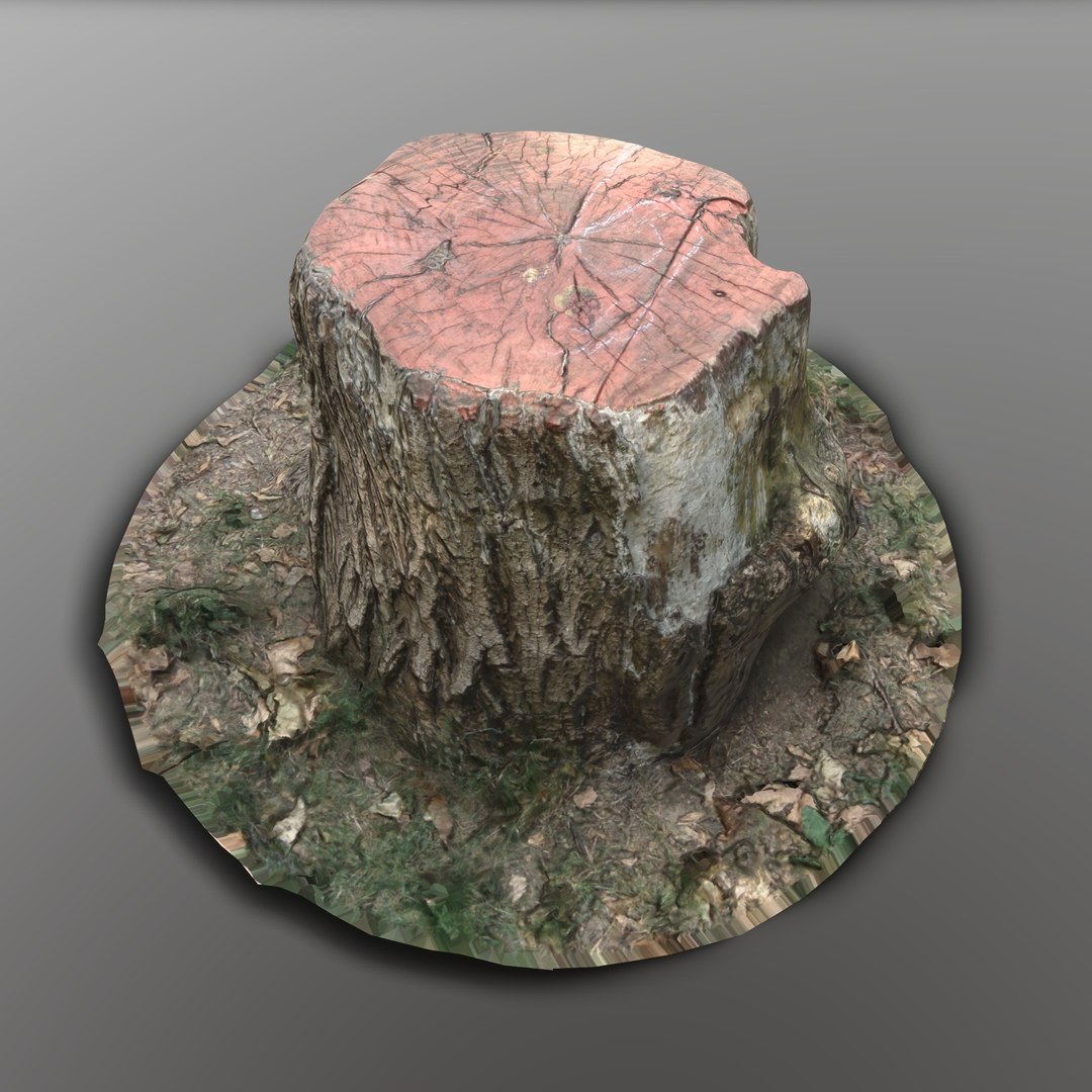 3D stump - TurboSquid 1450534
