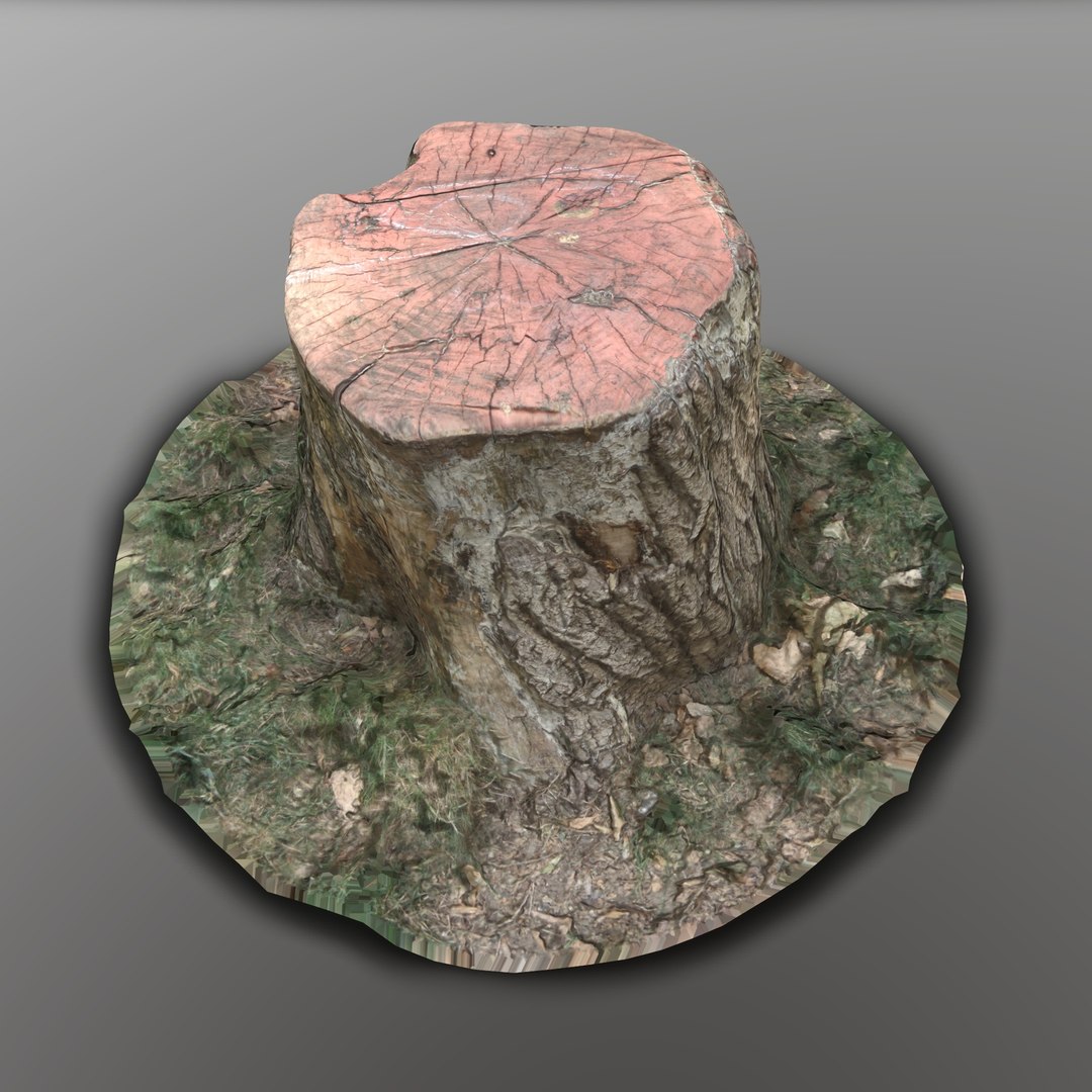 3D stump - TurboSquid 1450534
