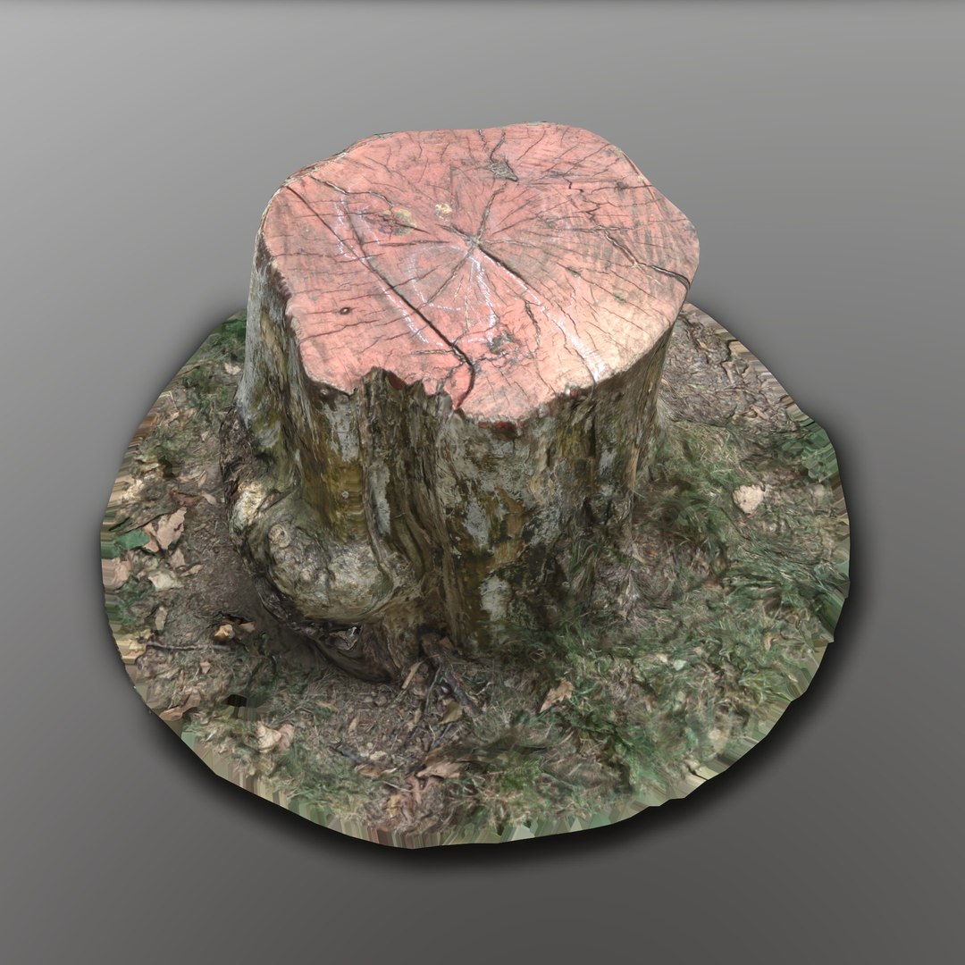 3D stump - TurboSquid 1450534