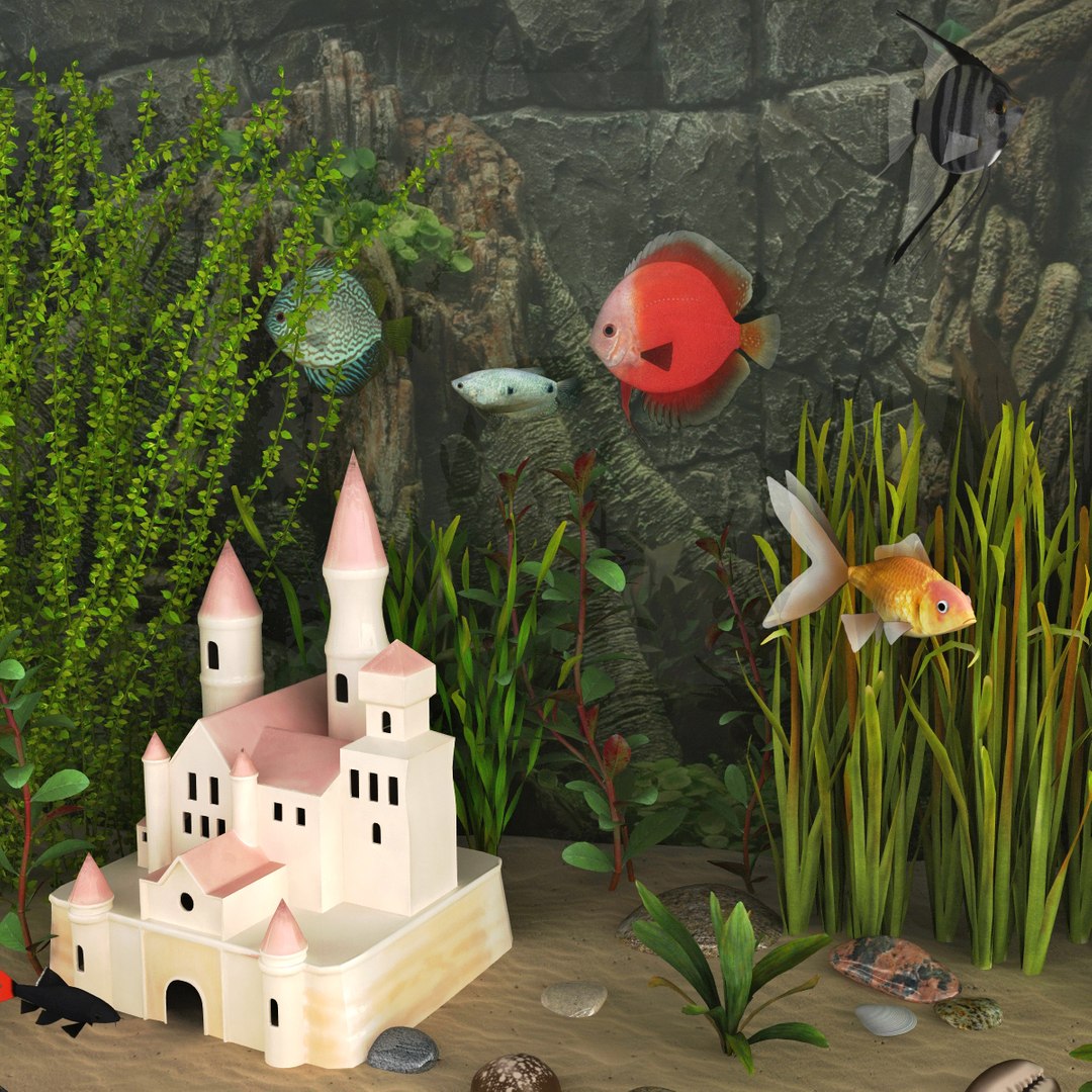 3d Model Aquarium V7