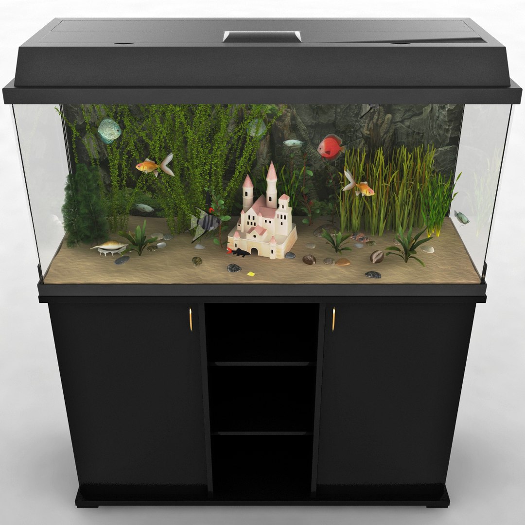3d Model Aquarium V7