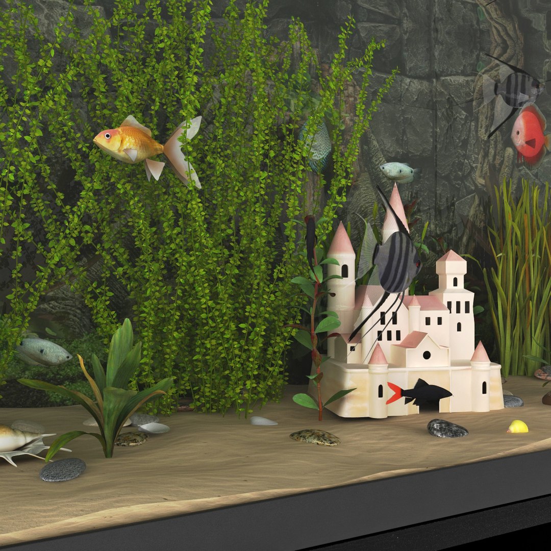 3d Model Aquarium V7