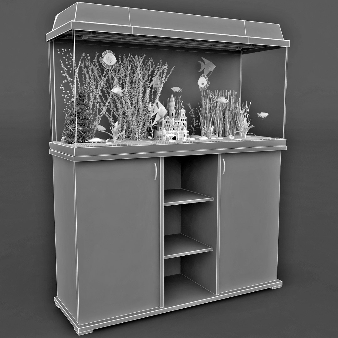 3d Model Aquarium V7