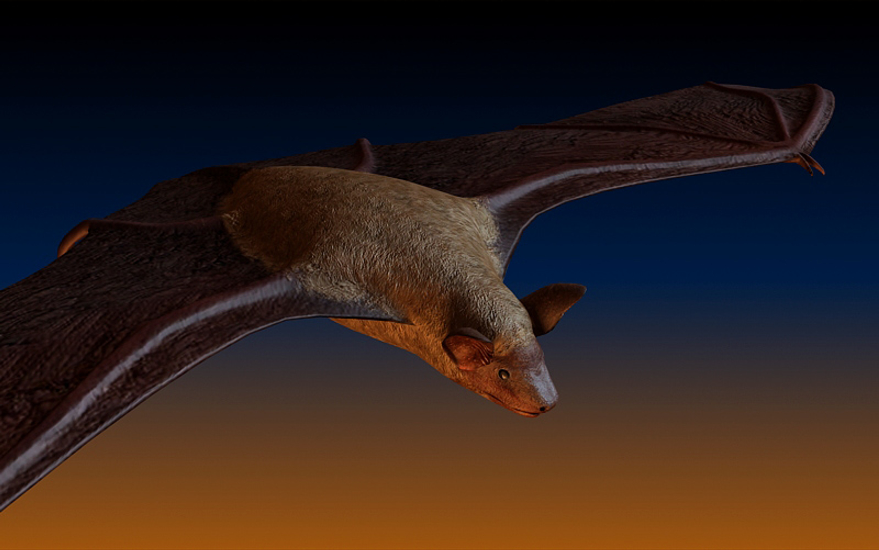 3d brown bat model