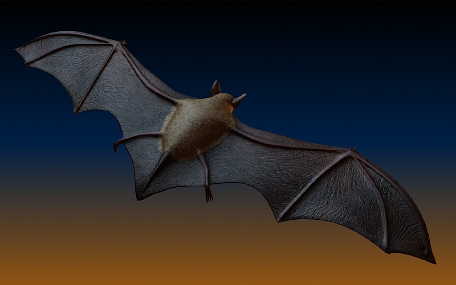 3d Brown Bat Model