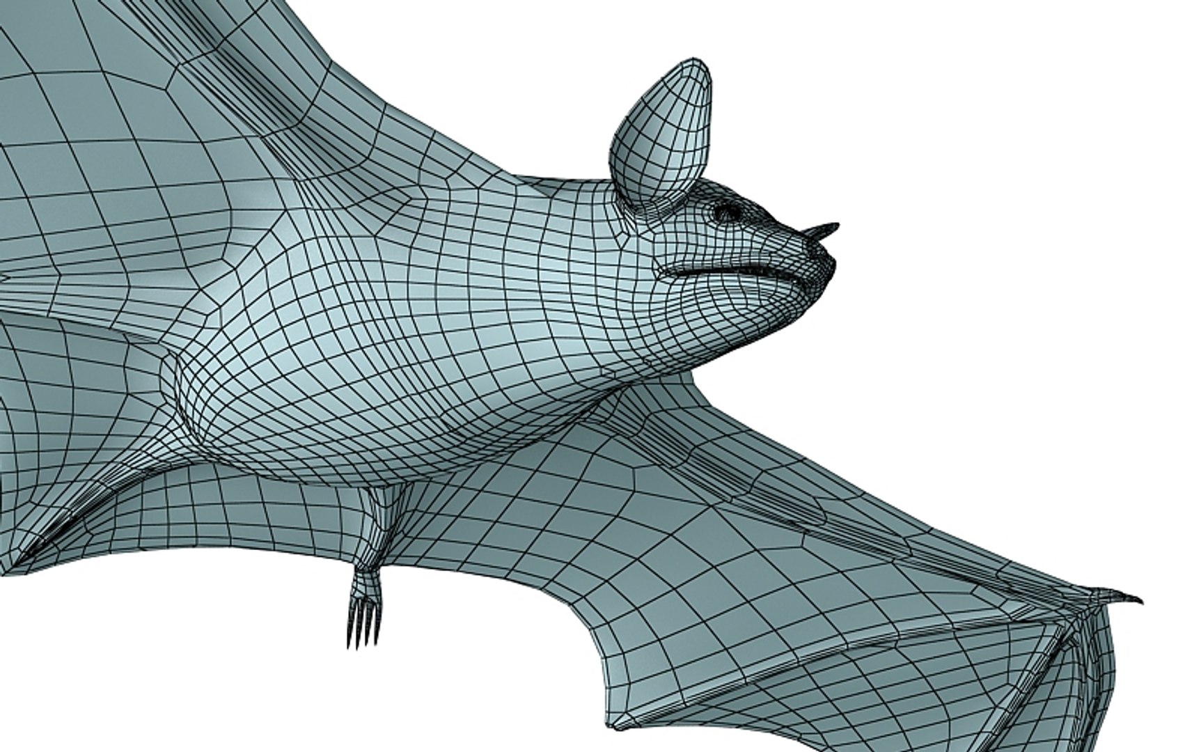 3d Brown Bat Model