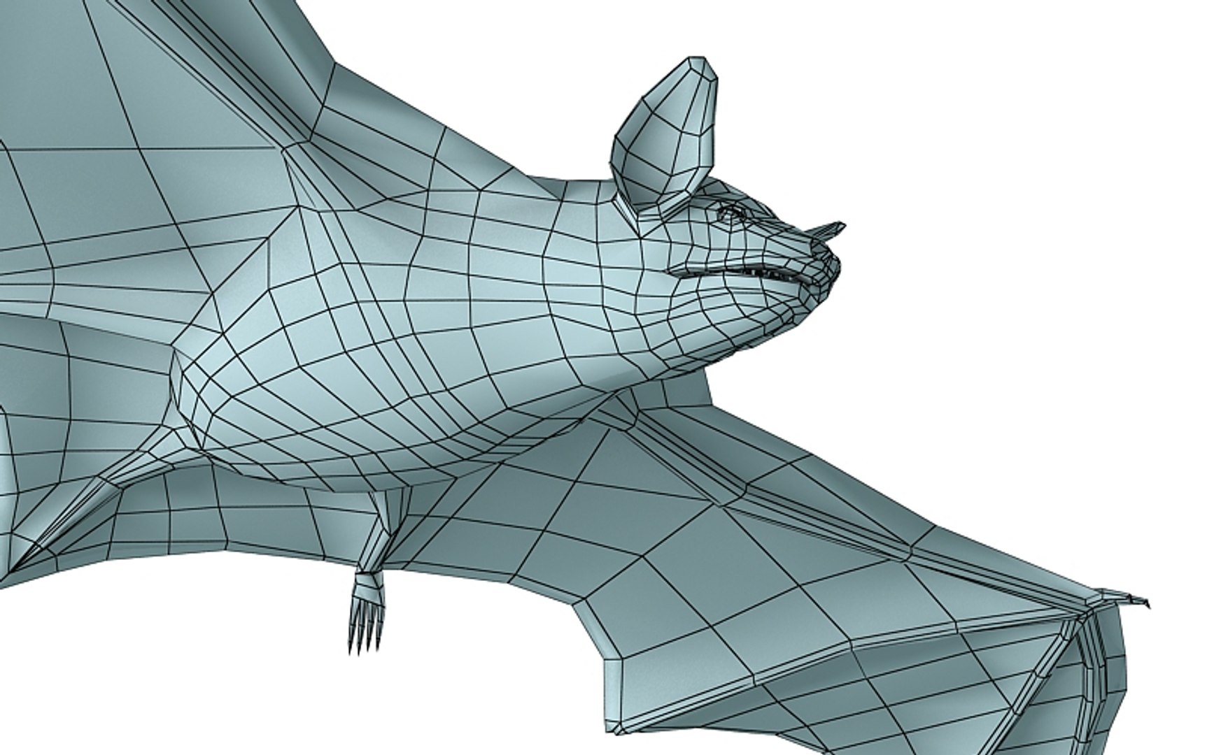 3d Brown Bat Model