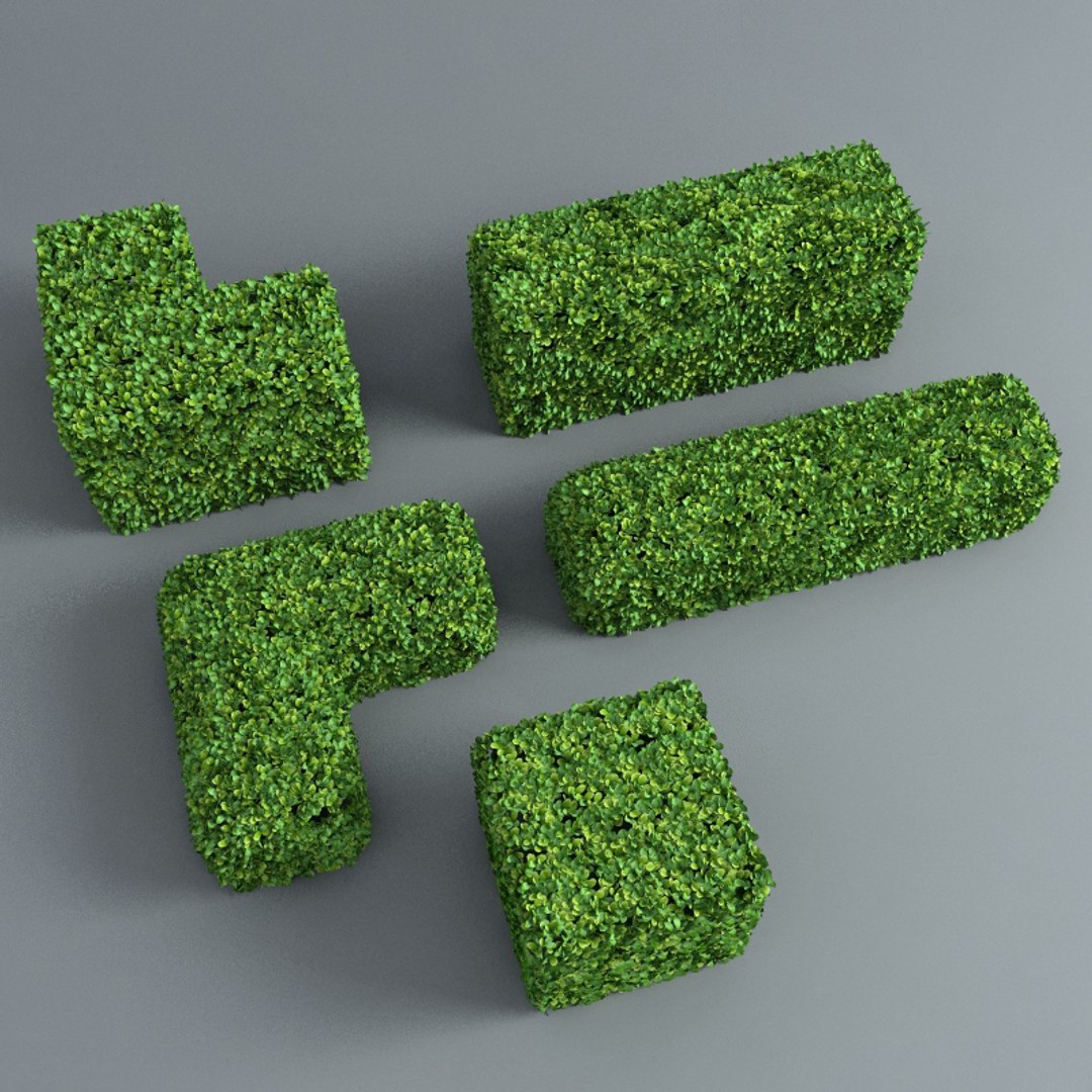 Plant Bushes 3d Model
