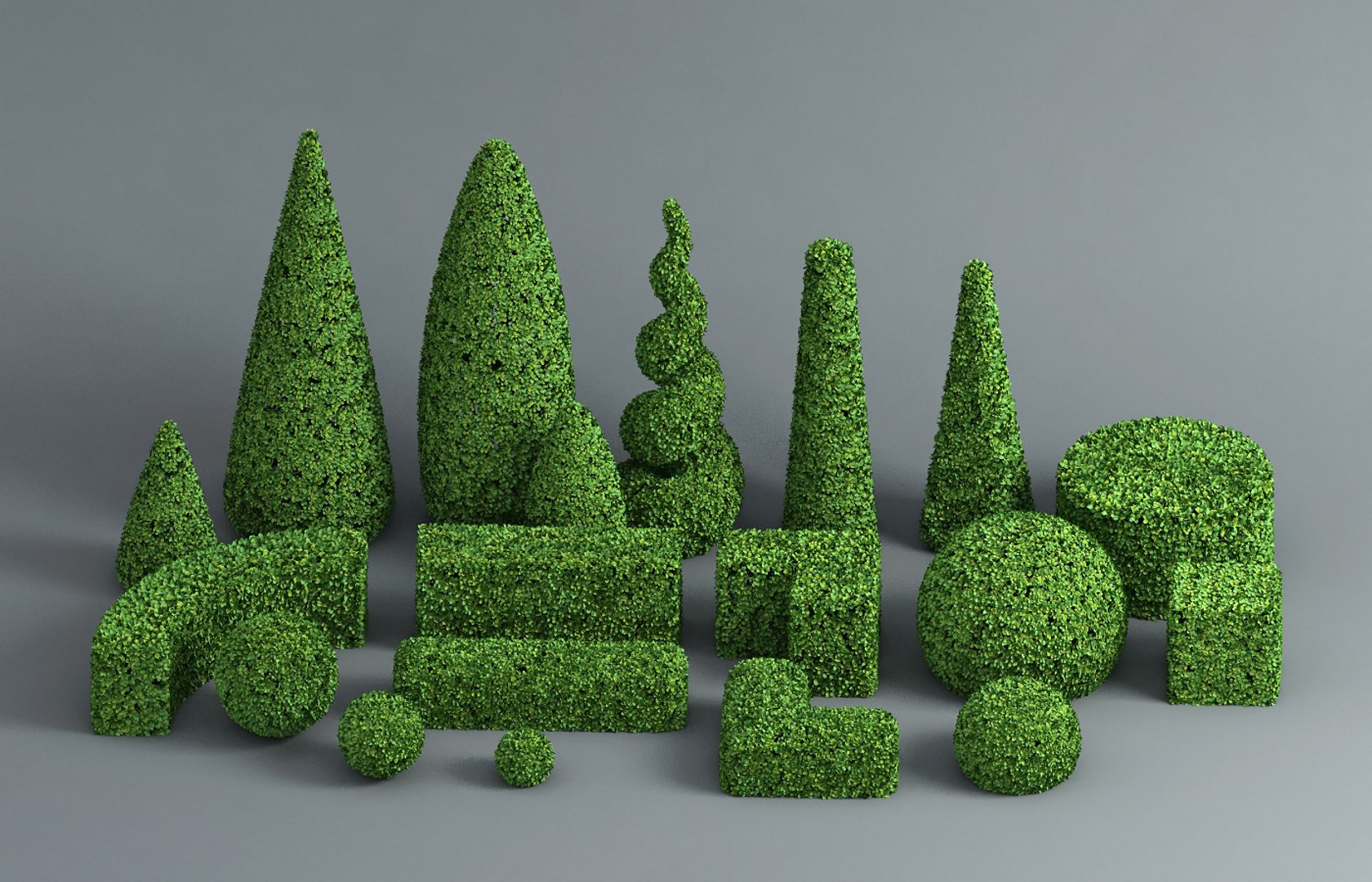 Plant Bushes 3d Model