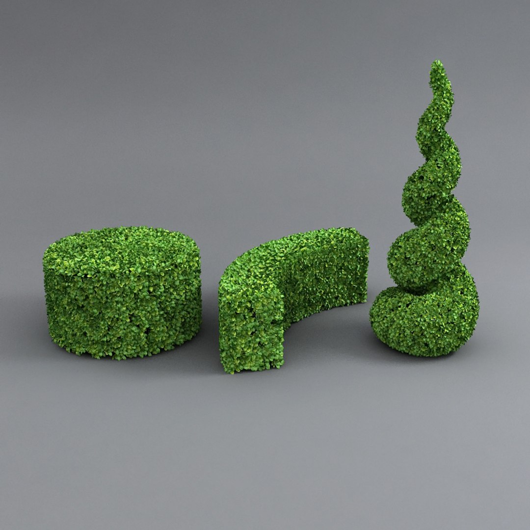Plant Bushes 3d Model