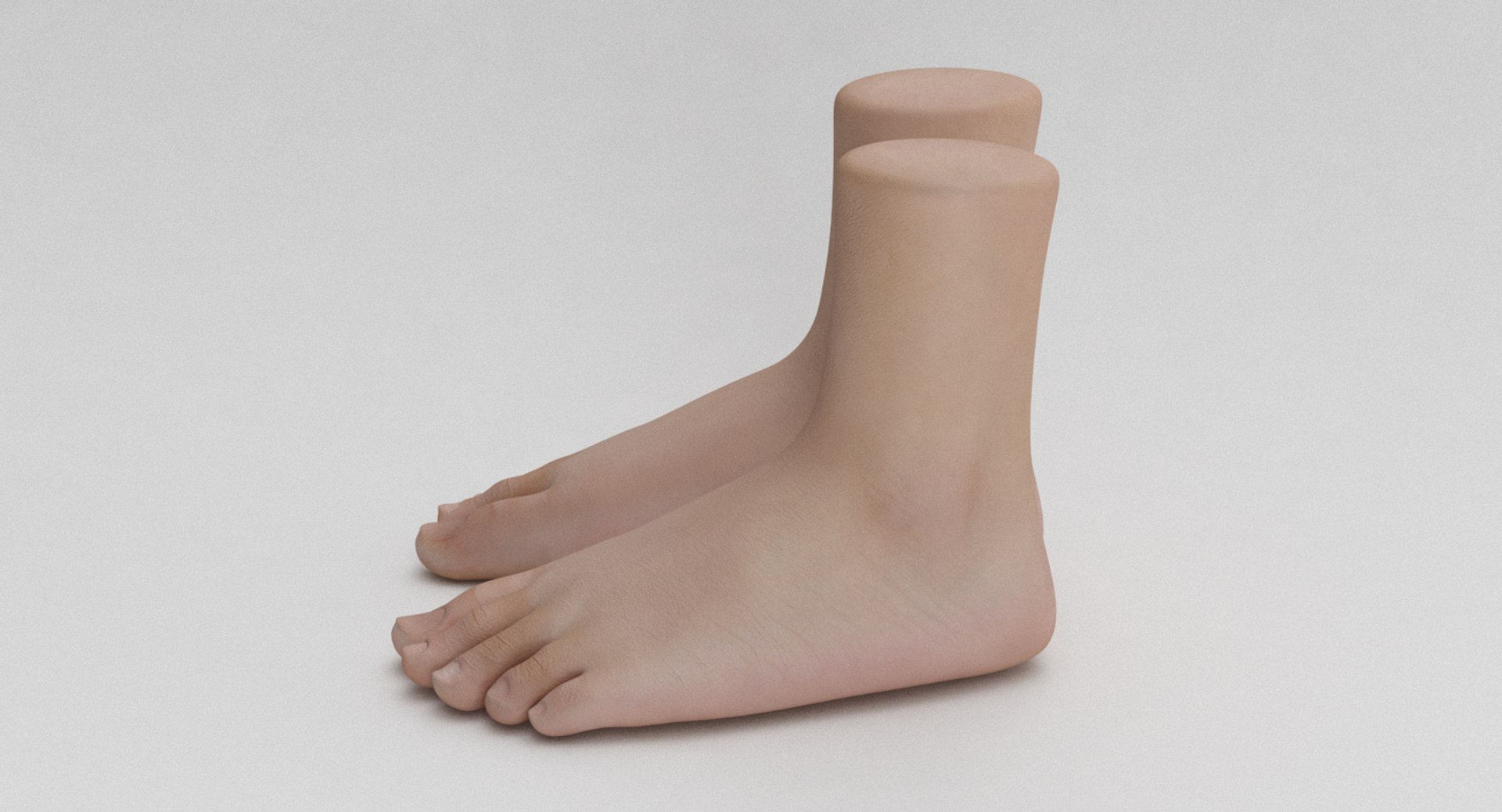 3d Model Foot Realistic