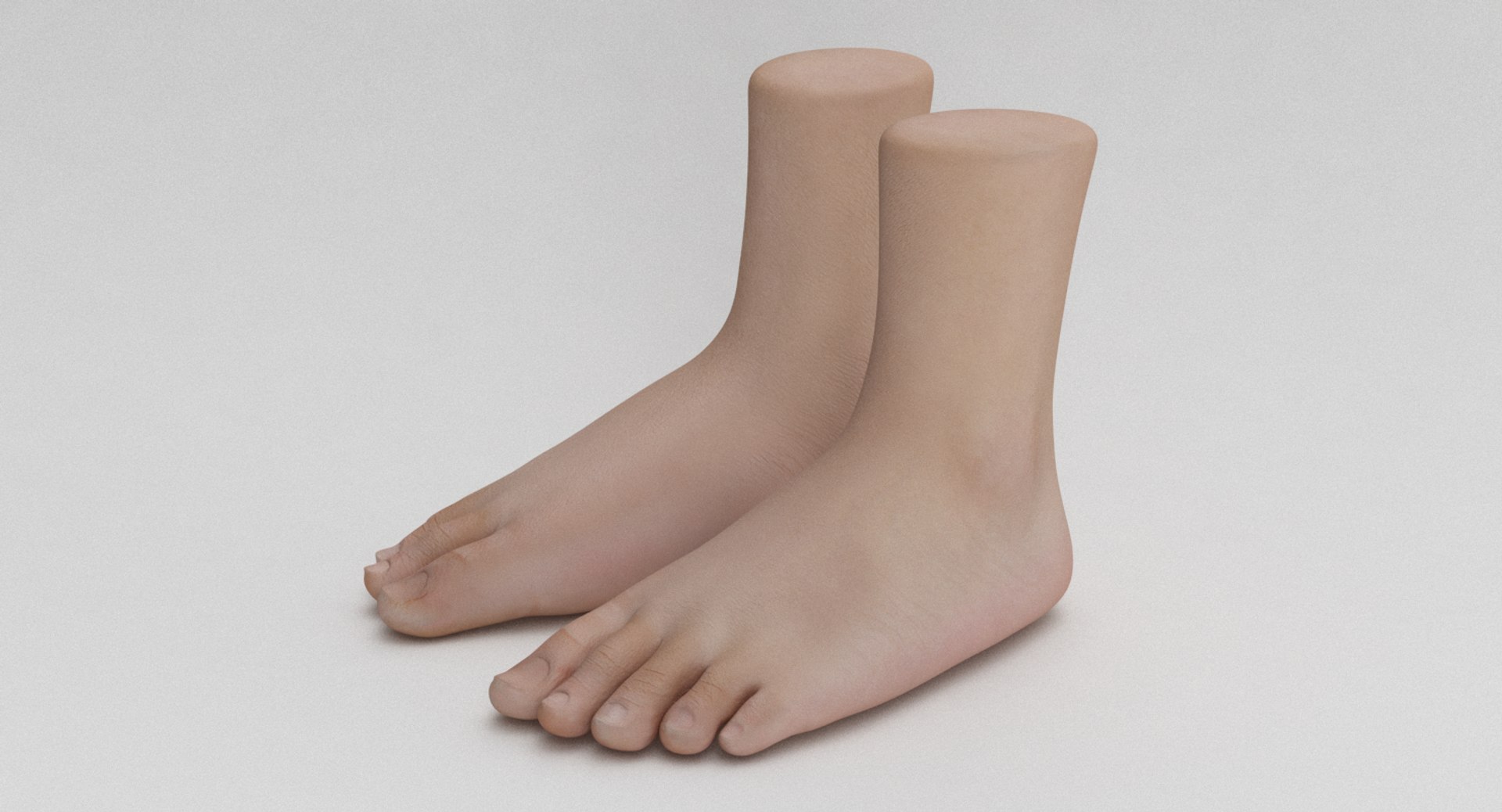 3d Model Foot Realistic