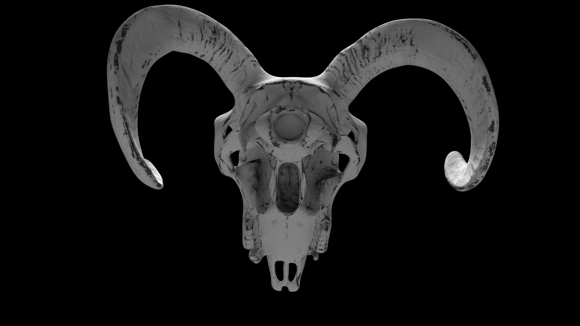 Ram Skull 3D Model - TurboSquid 1465169