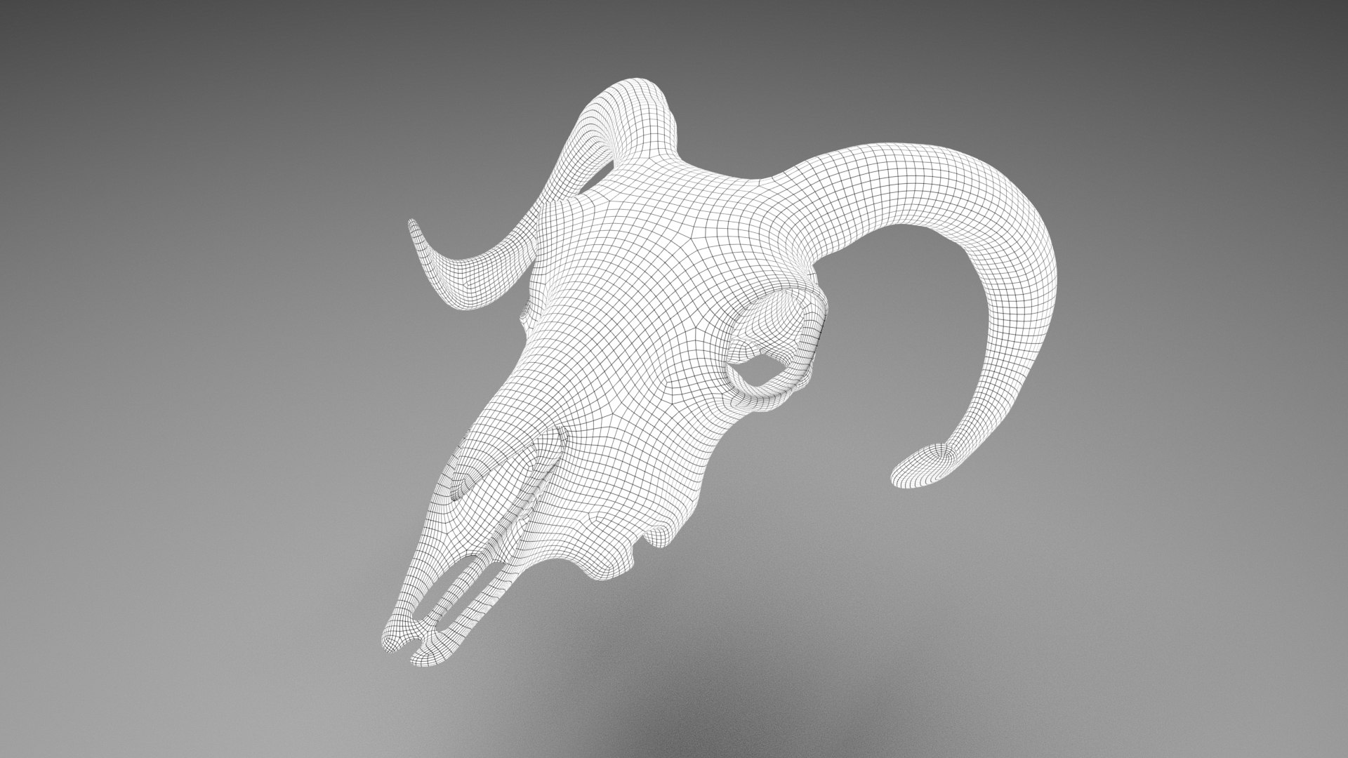 Ram Skull 3D Model - TurboSquid 1465169