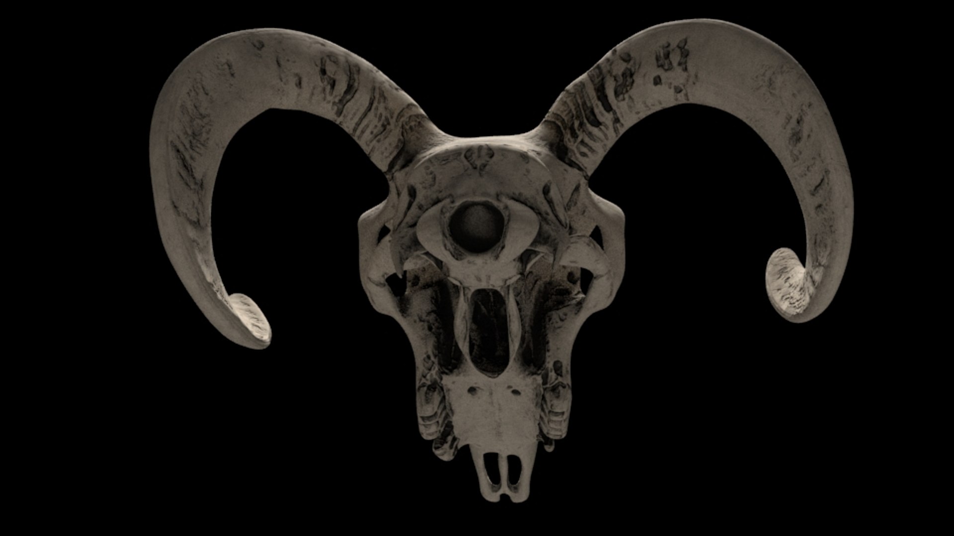 Ram Skull 3D Model - TurboSquid 1465169