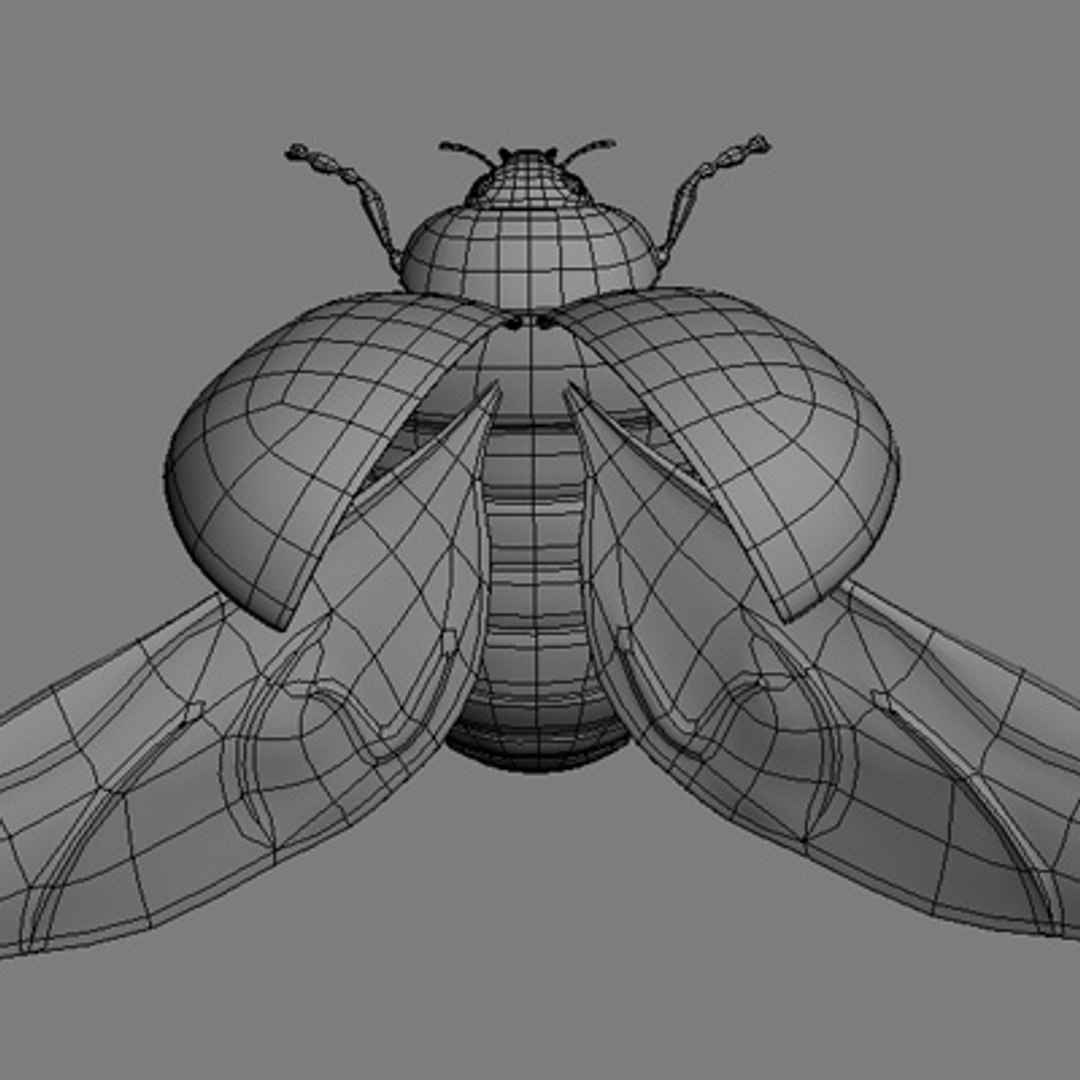 ladybug bug 3d model