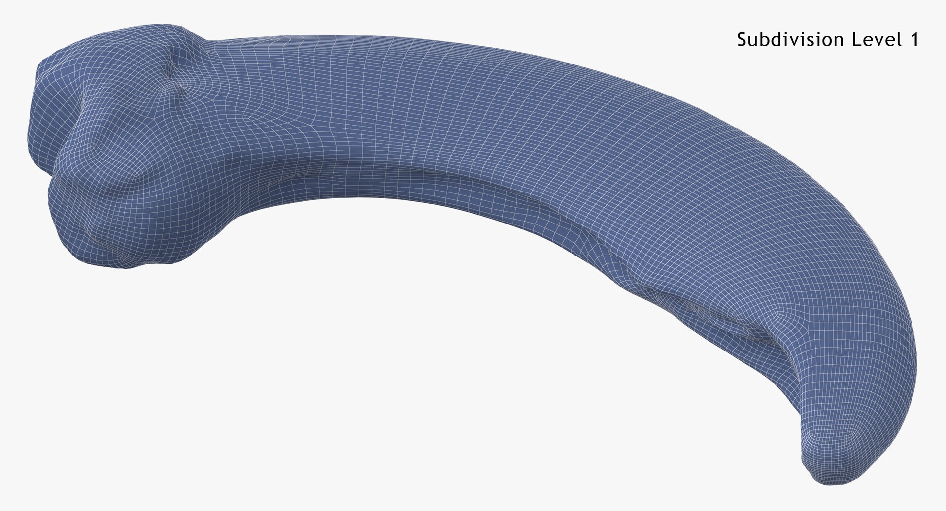 3D Domestic Cat Nail Bone Claw 01 - TurboSquid 1984700