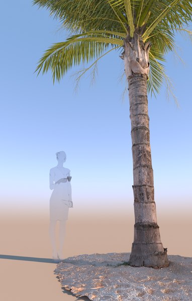 Mature queen palm tree 3D - TurboSquid 1668735