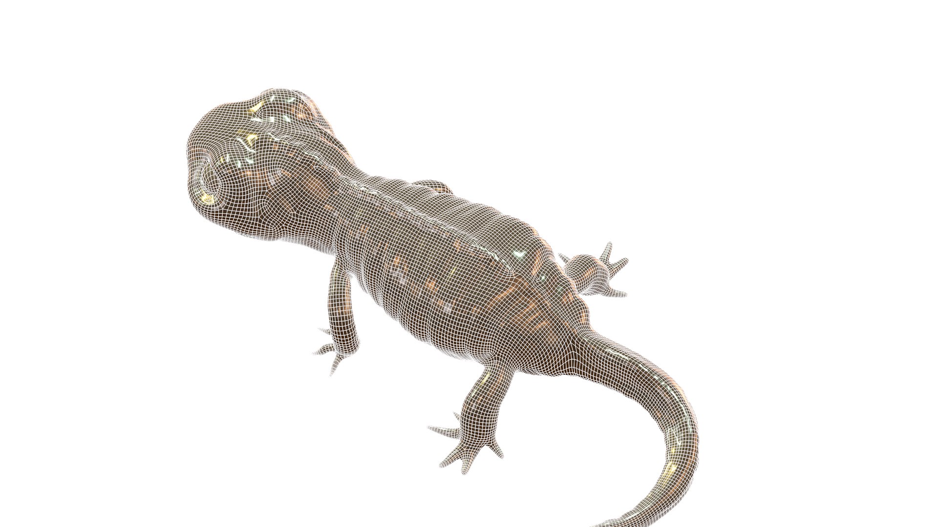 Salamander 3D Model - TurboSquid 2183130