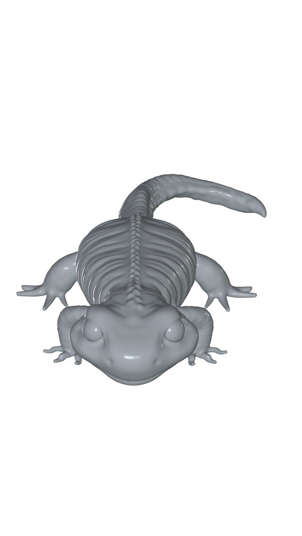 Salamander 3D model - TurboSquid 2183130