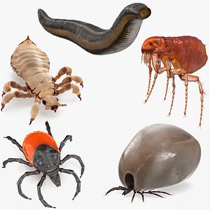 Rigged And Low Poly Download Gameloop For Windows 11 64 Bit 3D Models ...