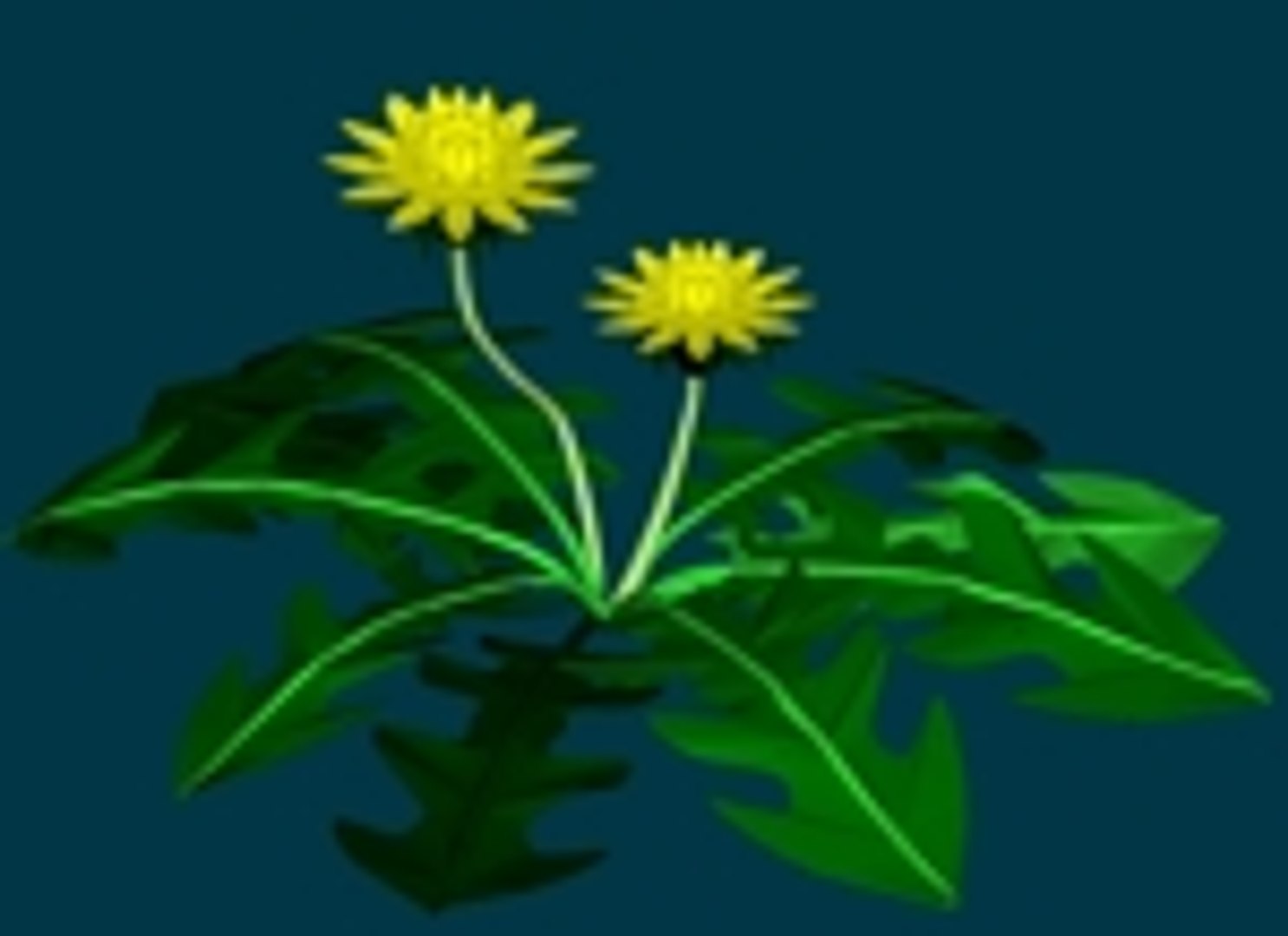 Dandelion Animation 3ds