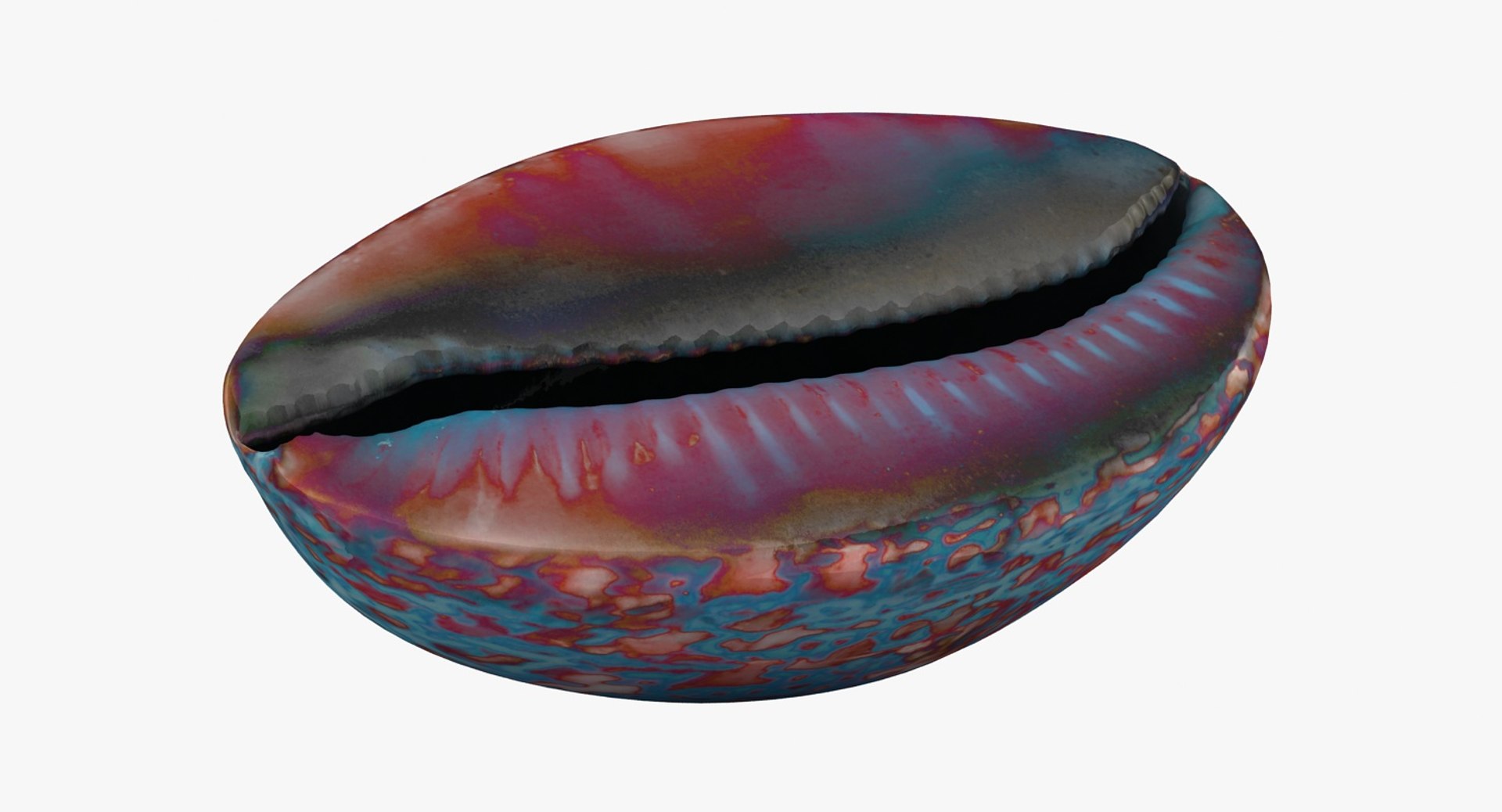 3D sea shell 4 blue - TurboSquid 1150280