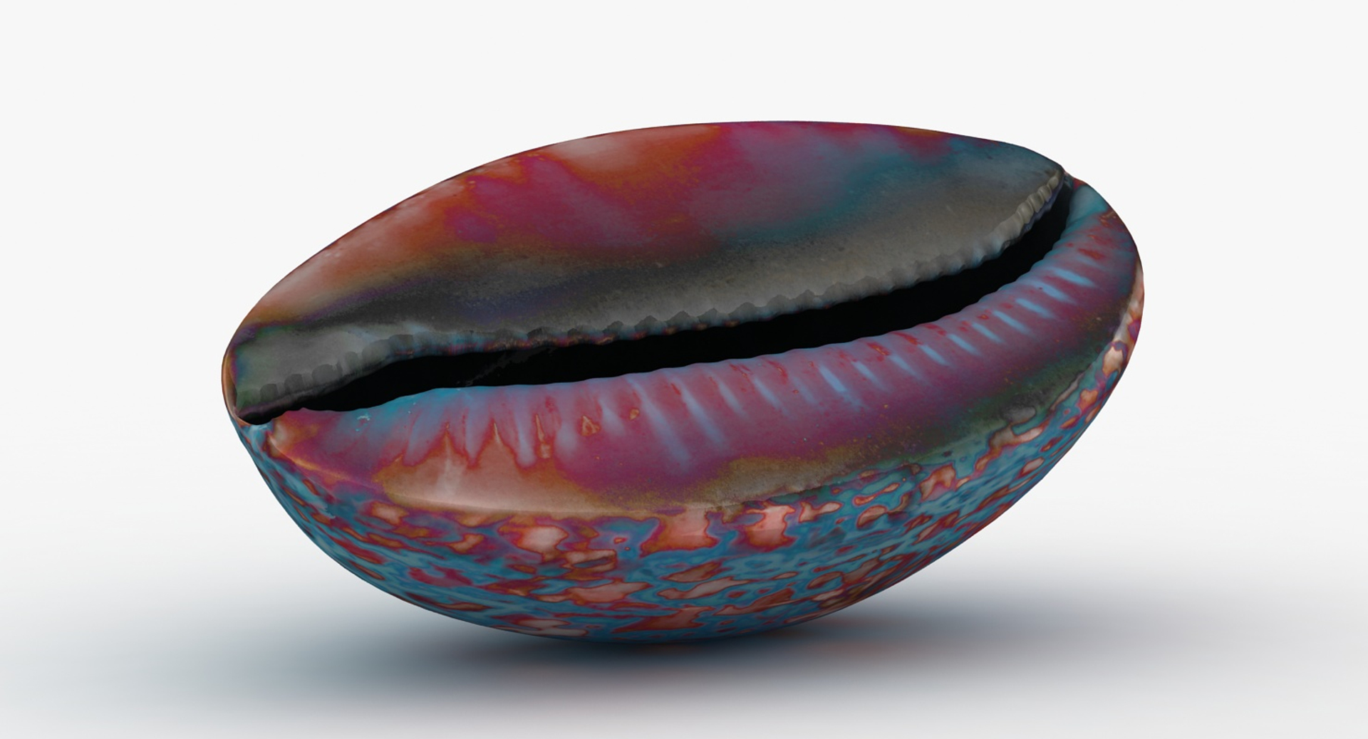 3D sea shell 4 blue - TurboSquid 1150280
