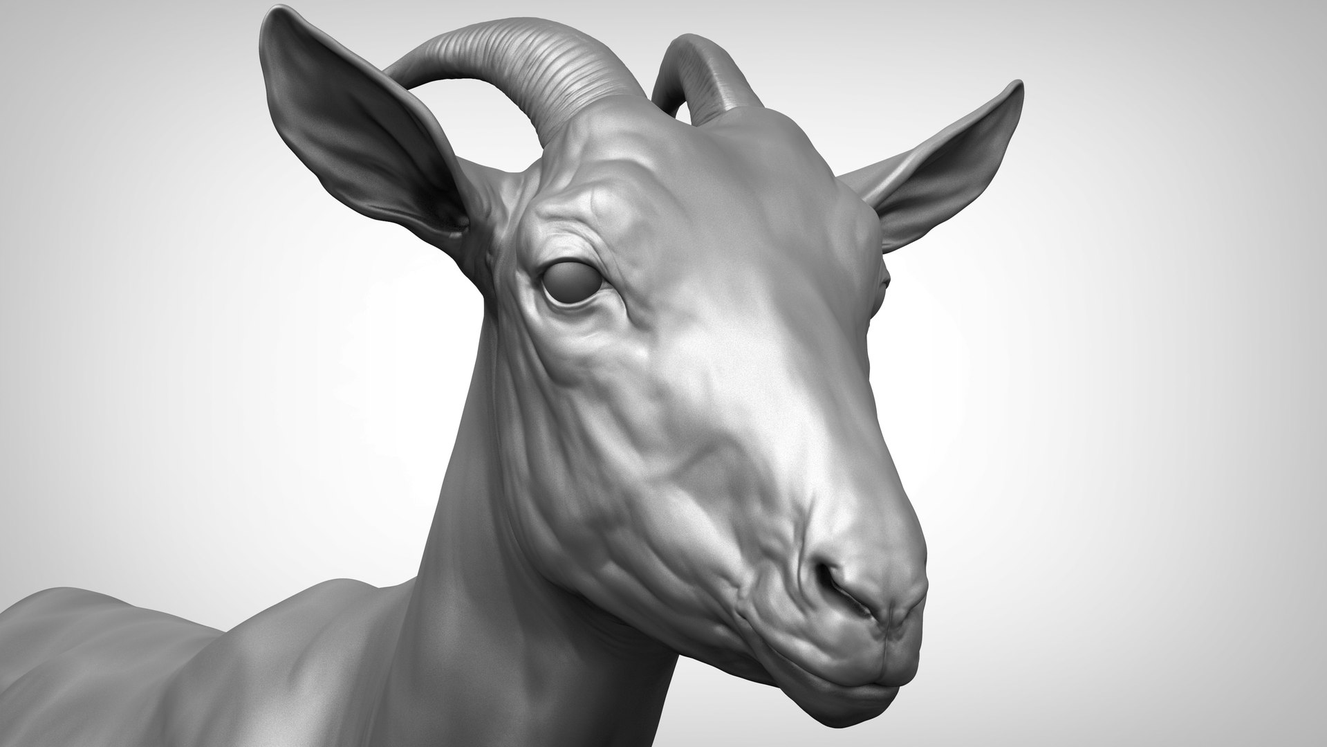 3D Goat V2 - TurboSquid 1557822