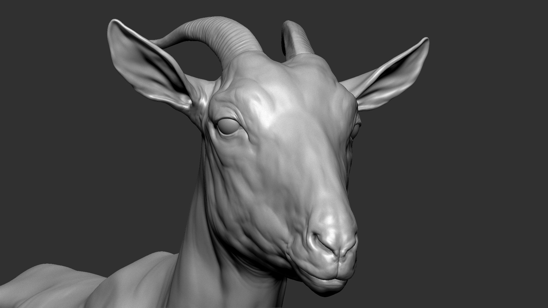 3D goat v2 - TurboSquid 1557822
