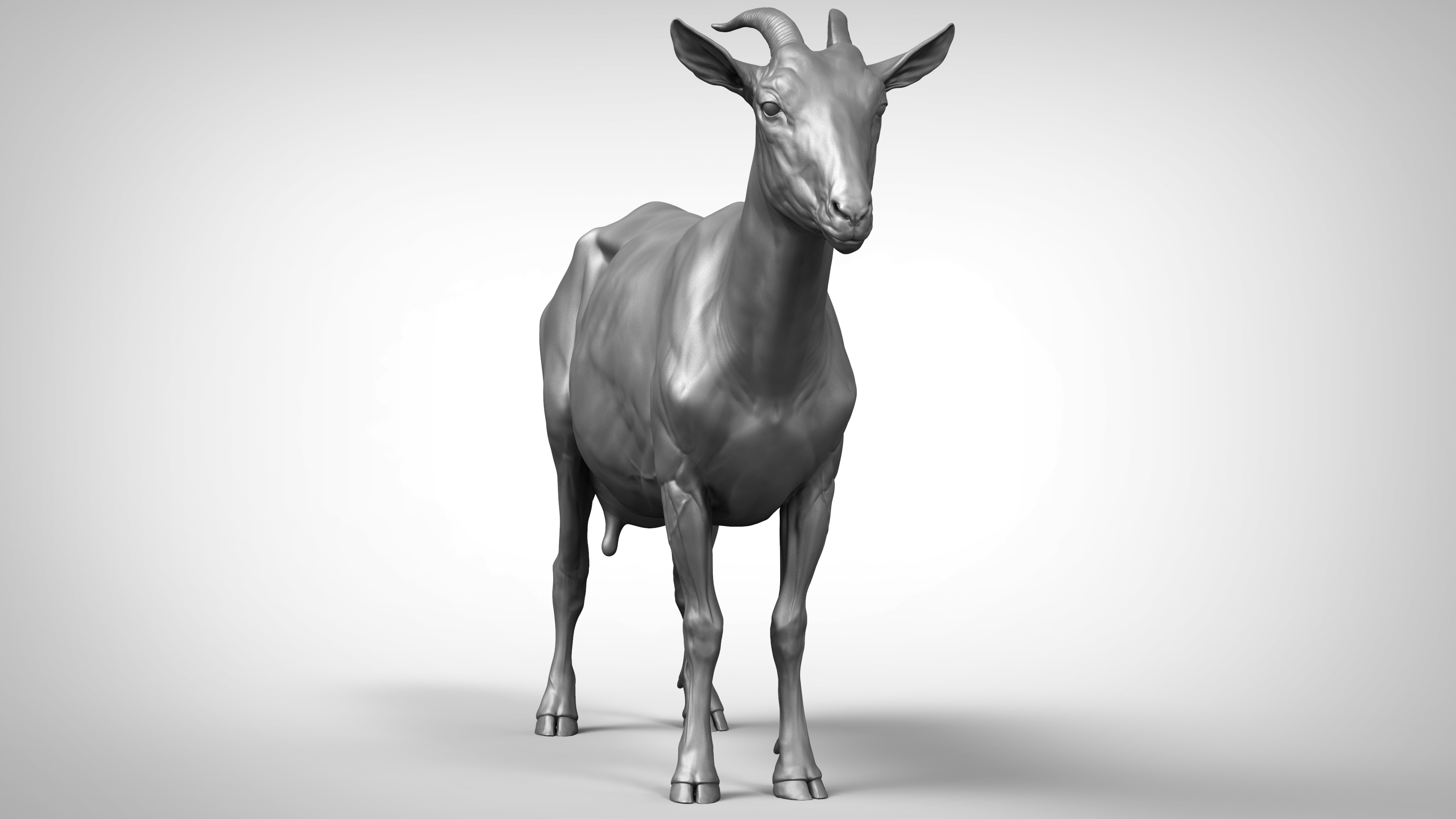 3D goat v2 - TurboSquid 1557822