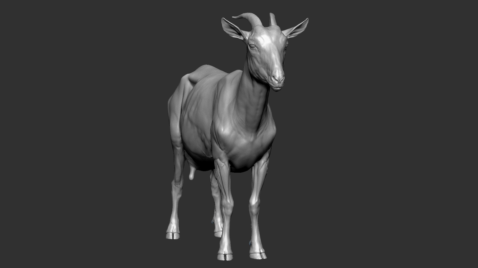 3D goat v2 - TurboSquid 1557822