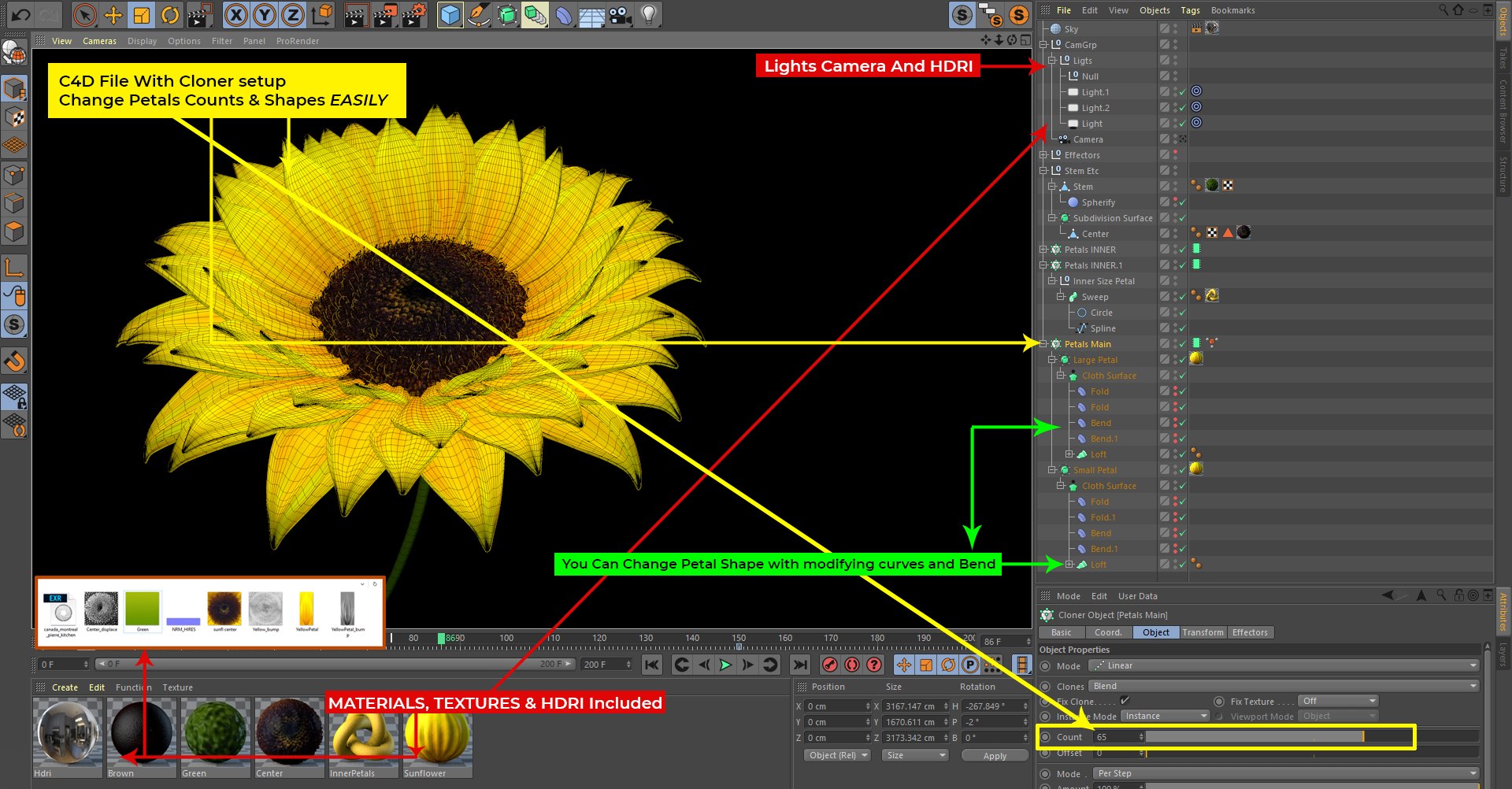 Sunflower 3d Animated Model 3D Model - TurboSquid 2035604