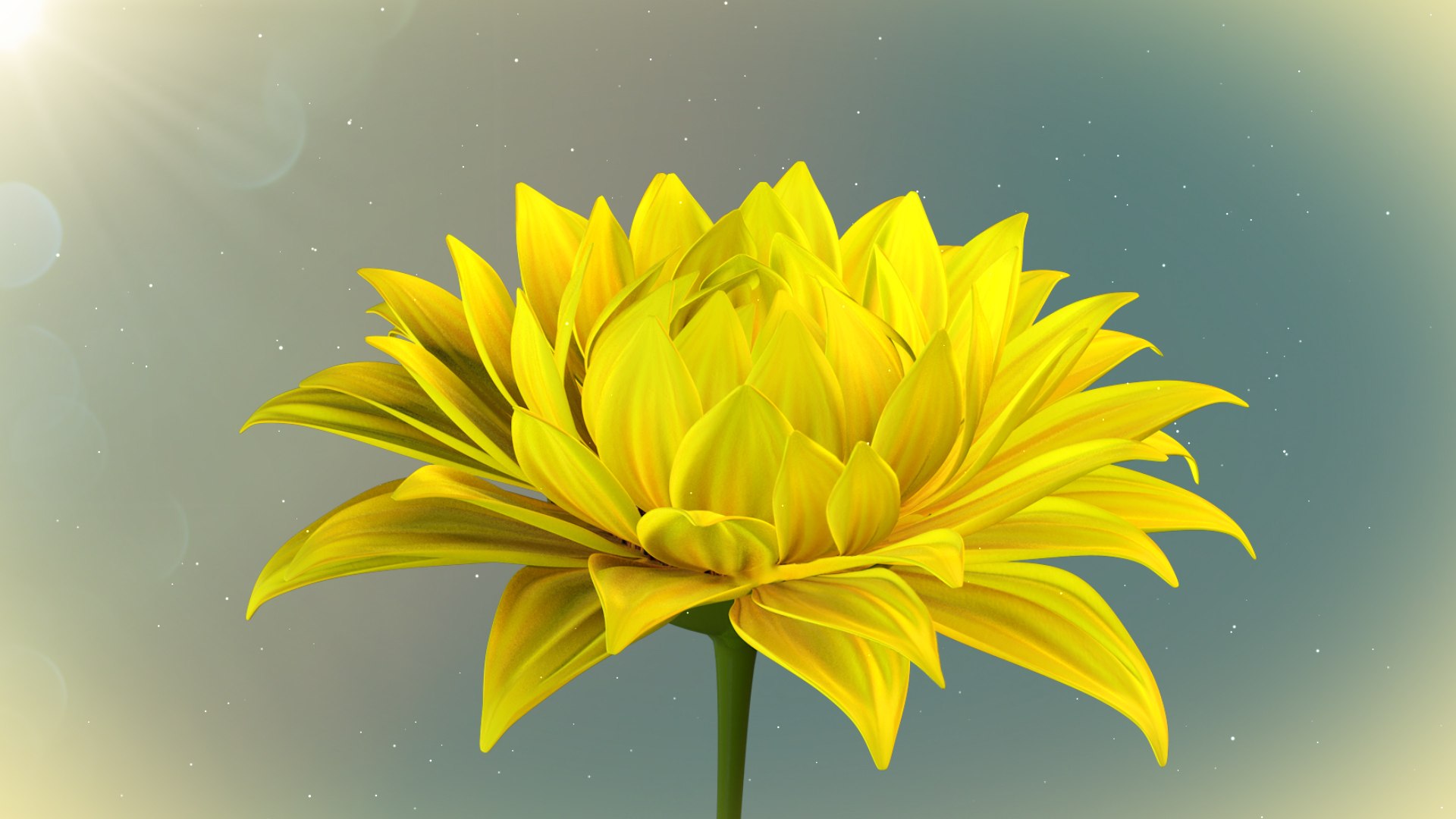 Sunflower 3d Animated Model 3D Model - TurboSquid 2035604