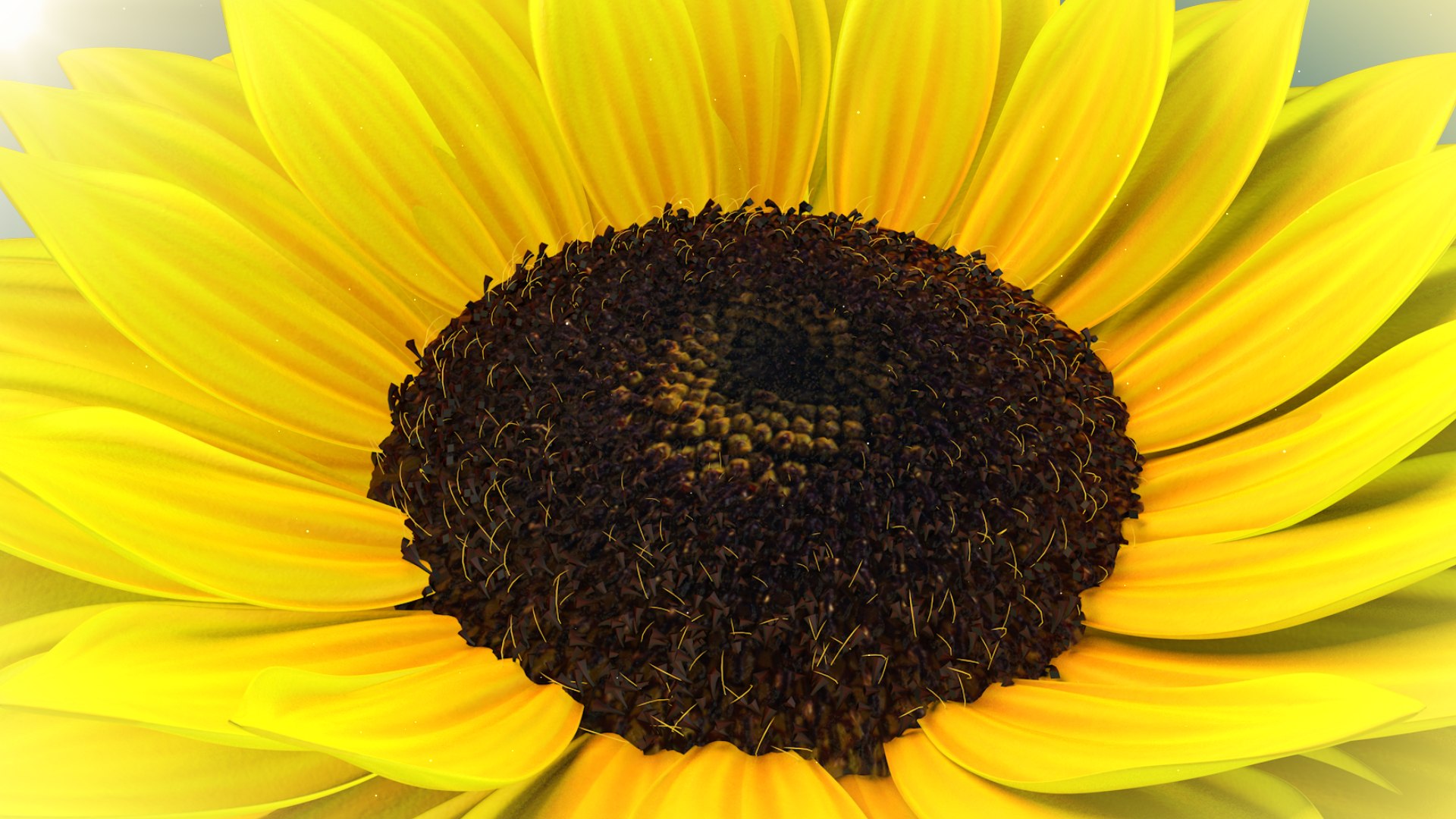 Sunflower 3d Animated Model 3D Model - TurboSquid 2035604