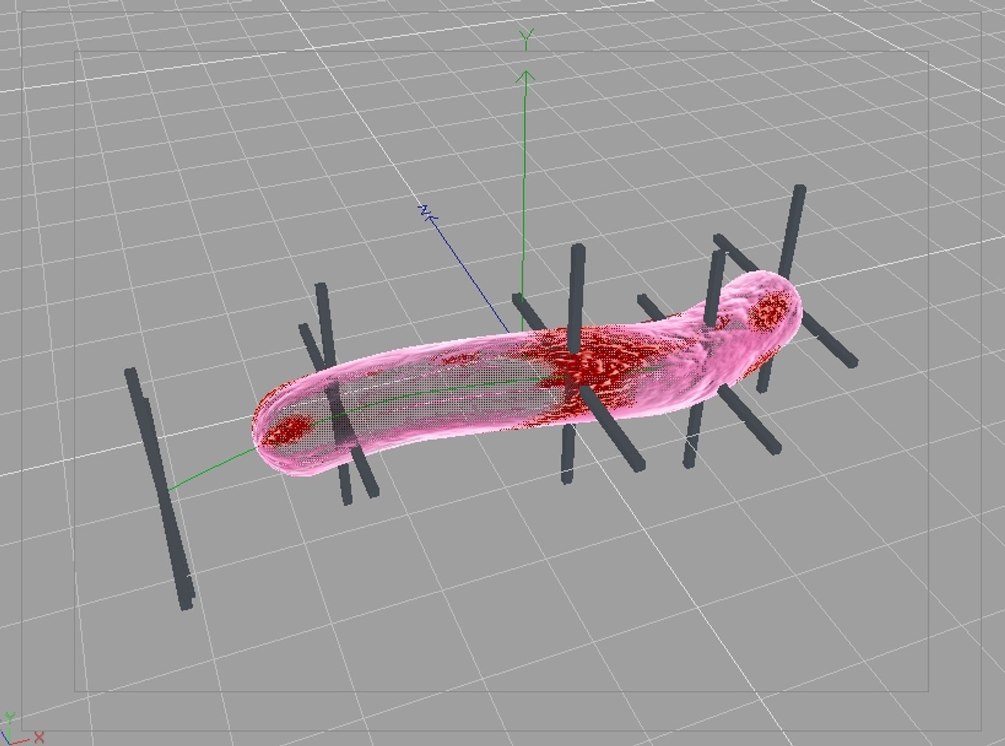 3d Mycobacterium Tuberculosis Model