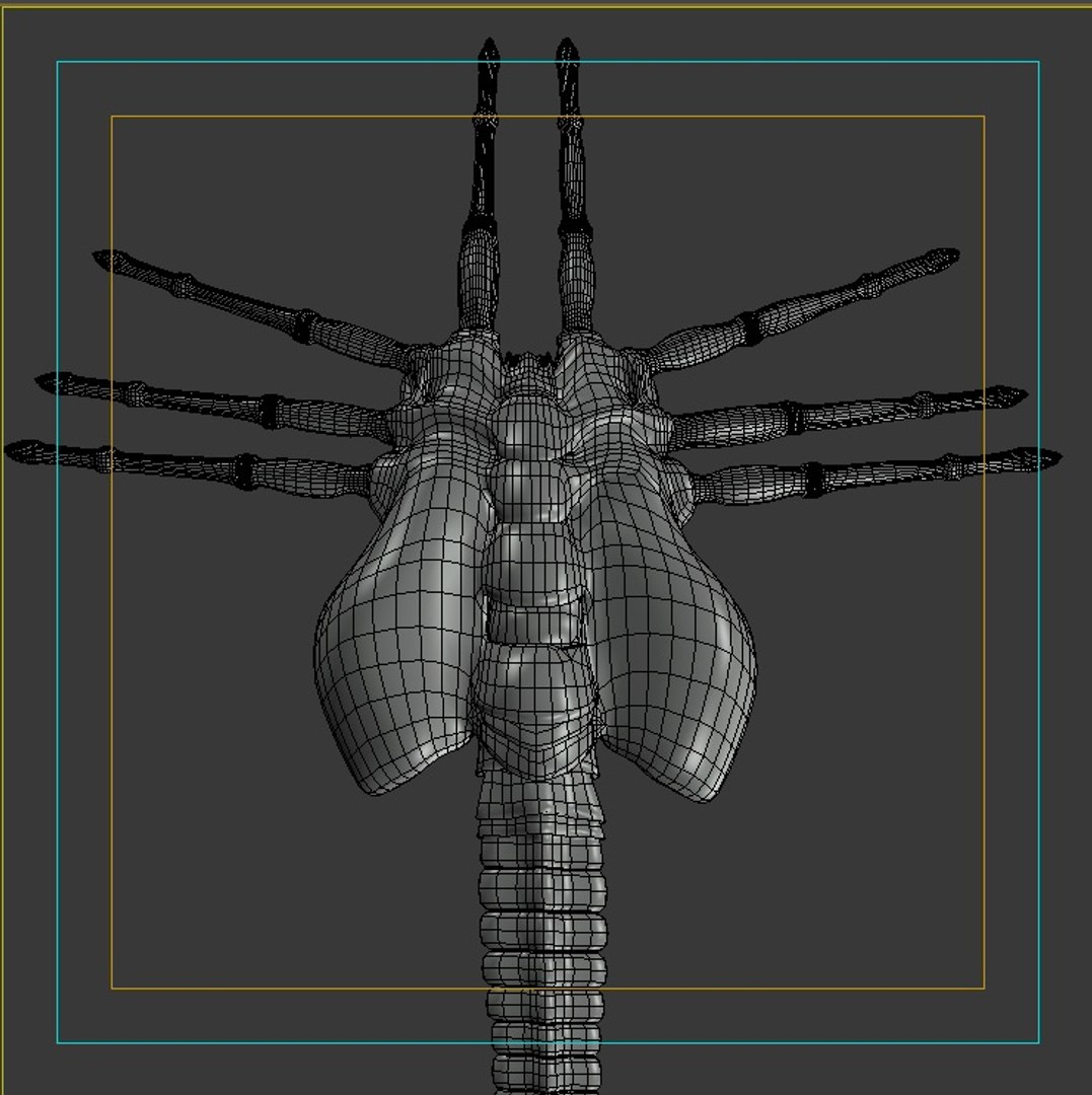 3d Model Of Facehugger Alien