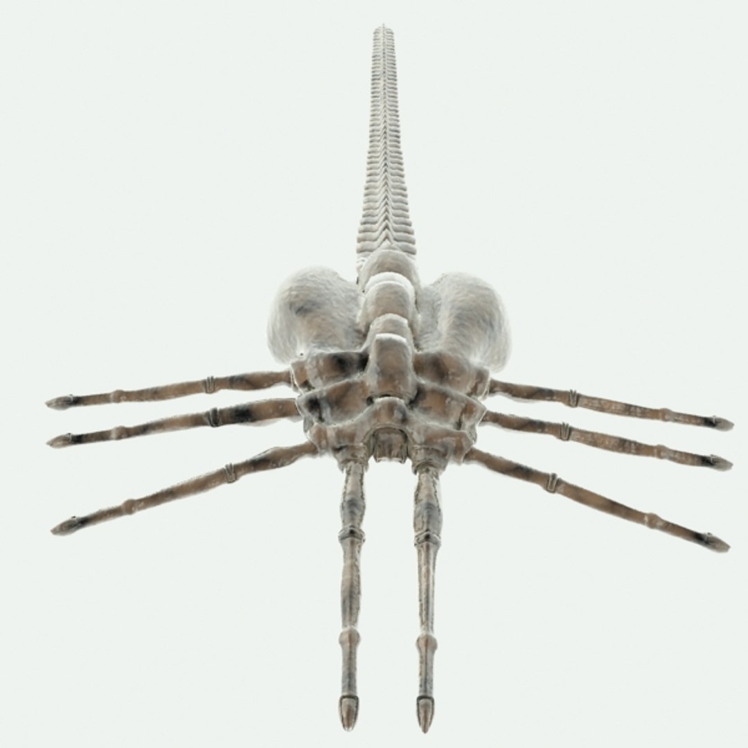 3d Model Of Facehugger Alien
